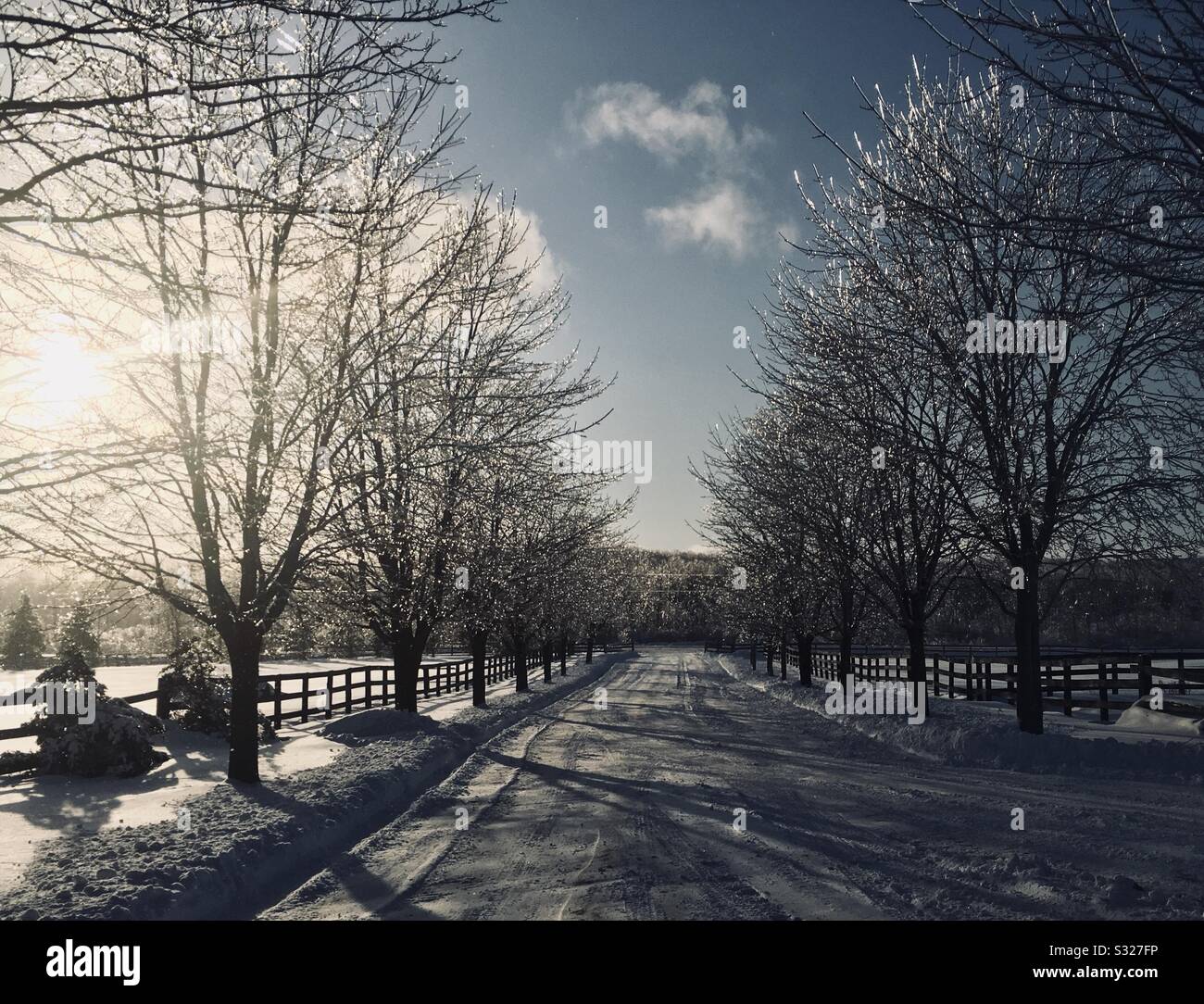 Winter pathway hi-res stock photography and images - Alamy