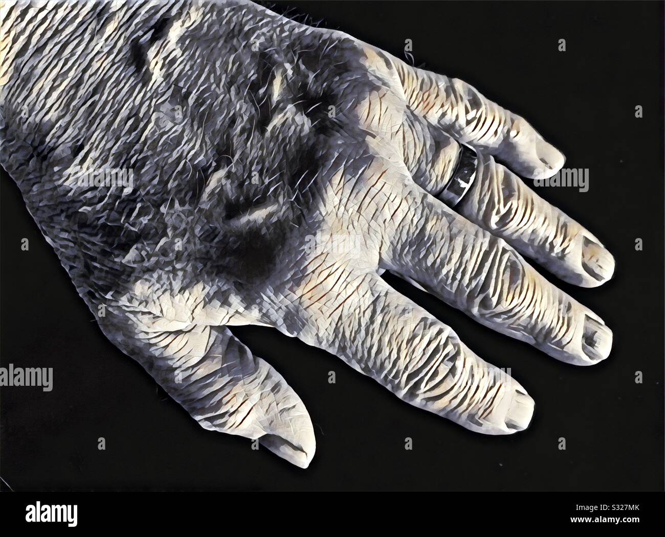 Wrinkled man’s hand Stock Photo - Alamy