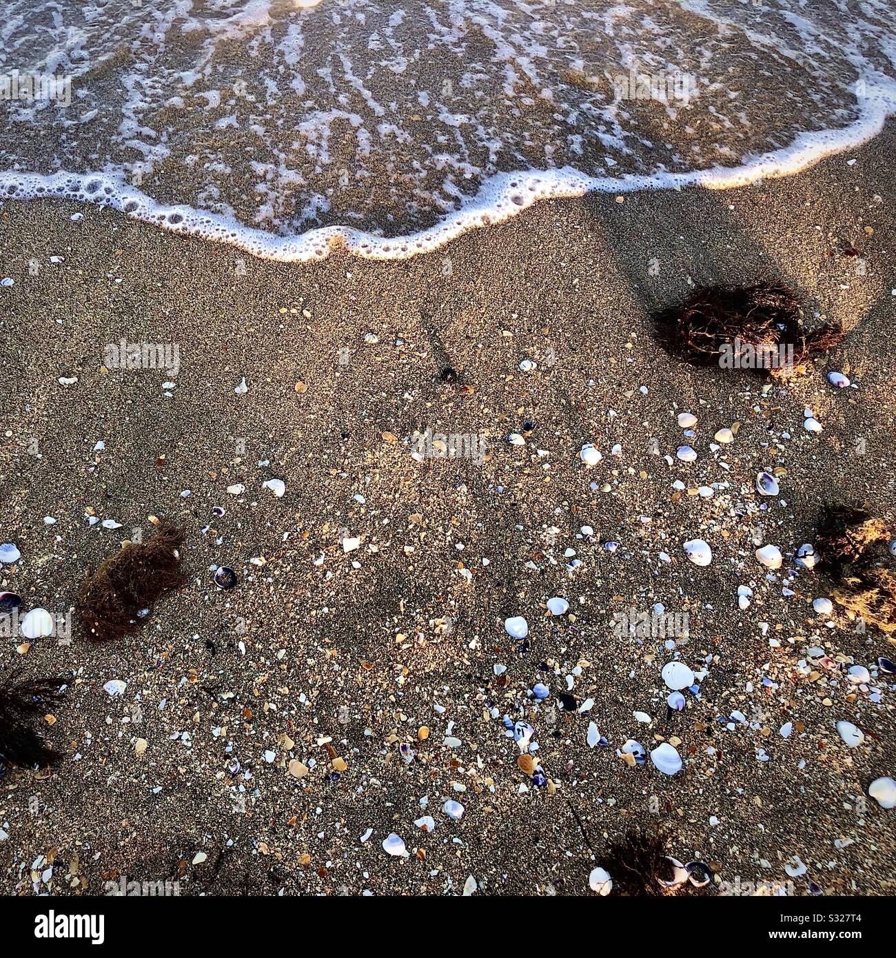 Ocean eyes hi-res stock photography and images - Alamy