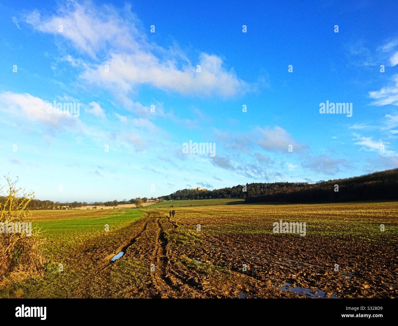 Field sunny day hi-res stock photography and images - Alamy