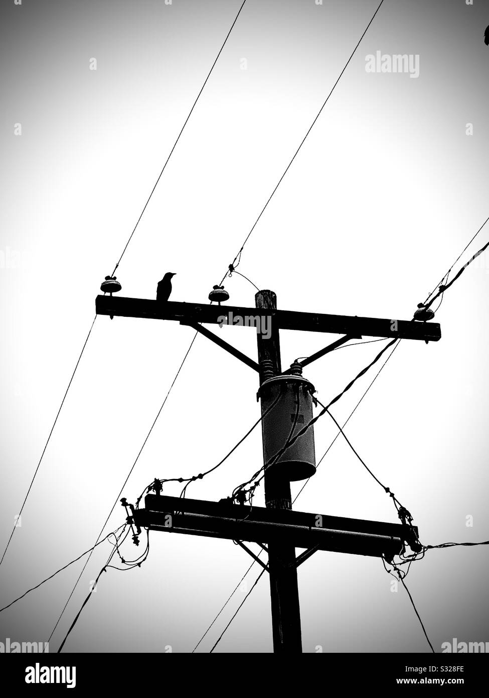A crow sits atop a power pole on a winter day Stock Photo - Alamy