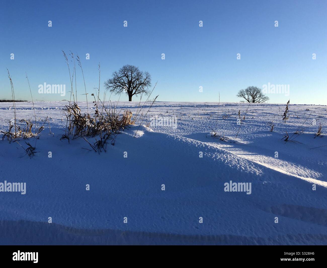 Crisp field hi-res stock photography and images - Alamy