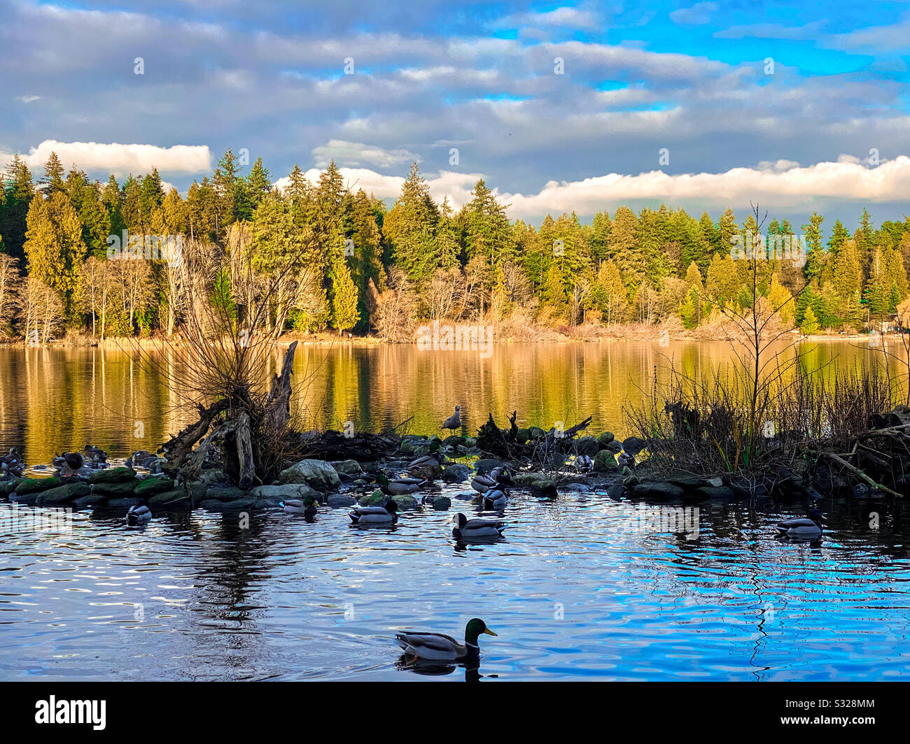 Naturewalks hi-res stock photography and images - Alamy