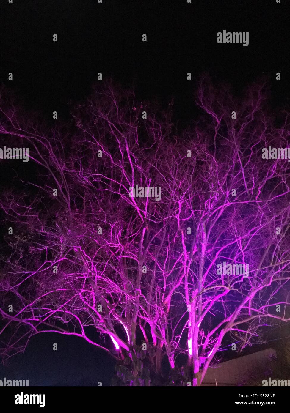Purple lit up hi-res stock photography and images - Alamy