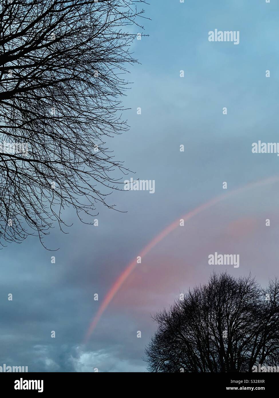 Rainbow and trees hi-res stock photography and images - Alamy