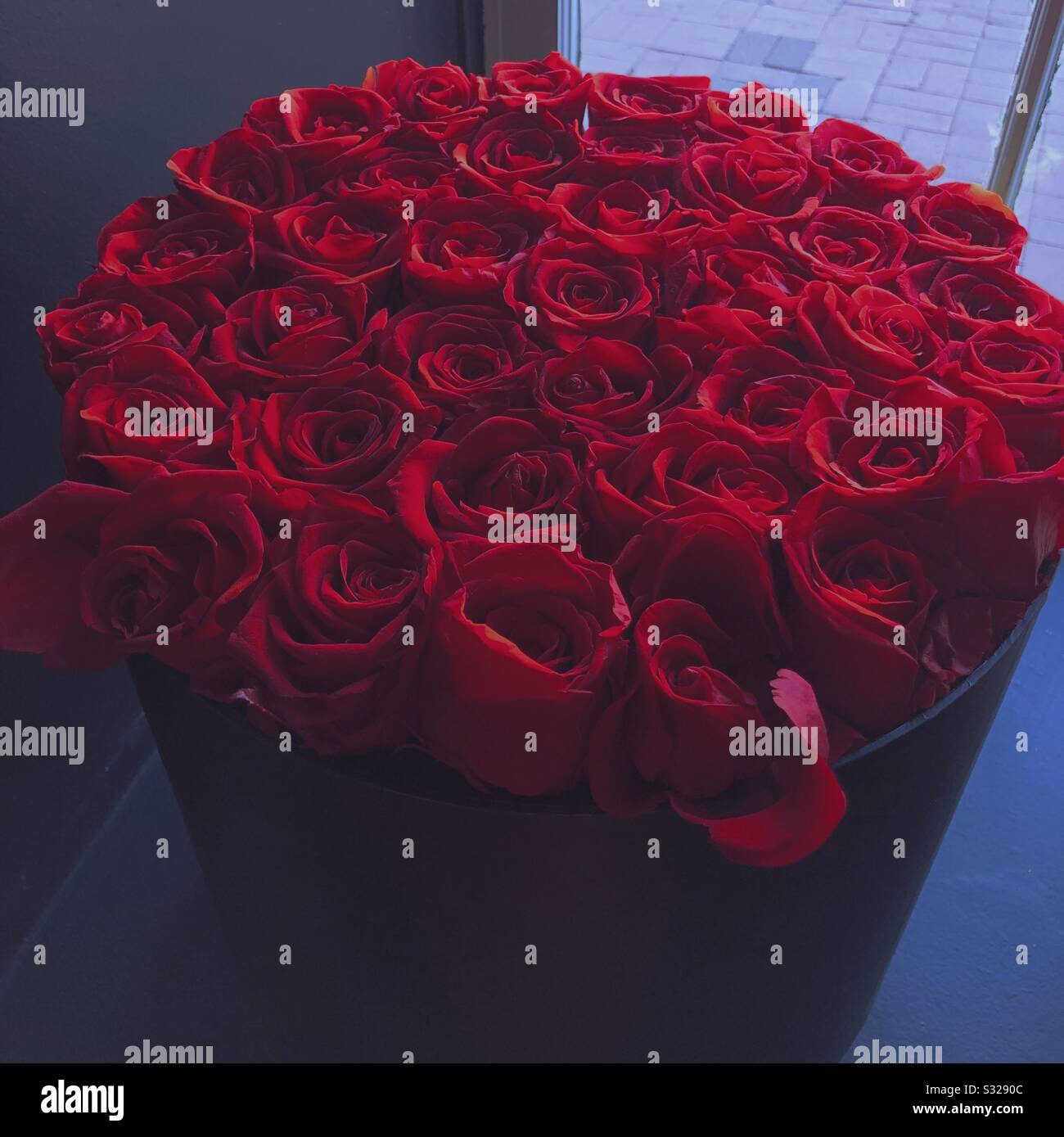 Romantic red roses hi-res stock photography and images - Alamy