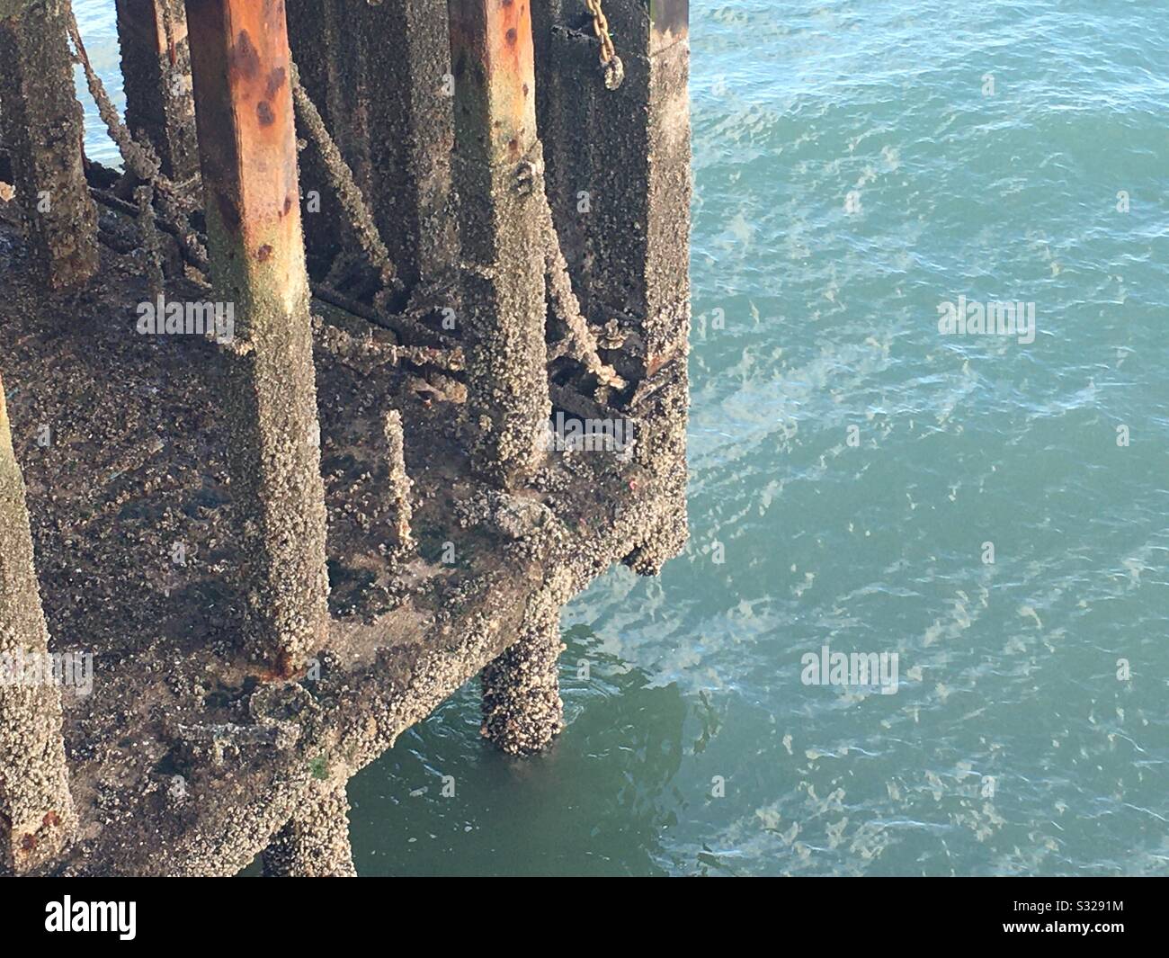 Bottom structure hi-res stock photography and images - Alamy