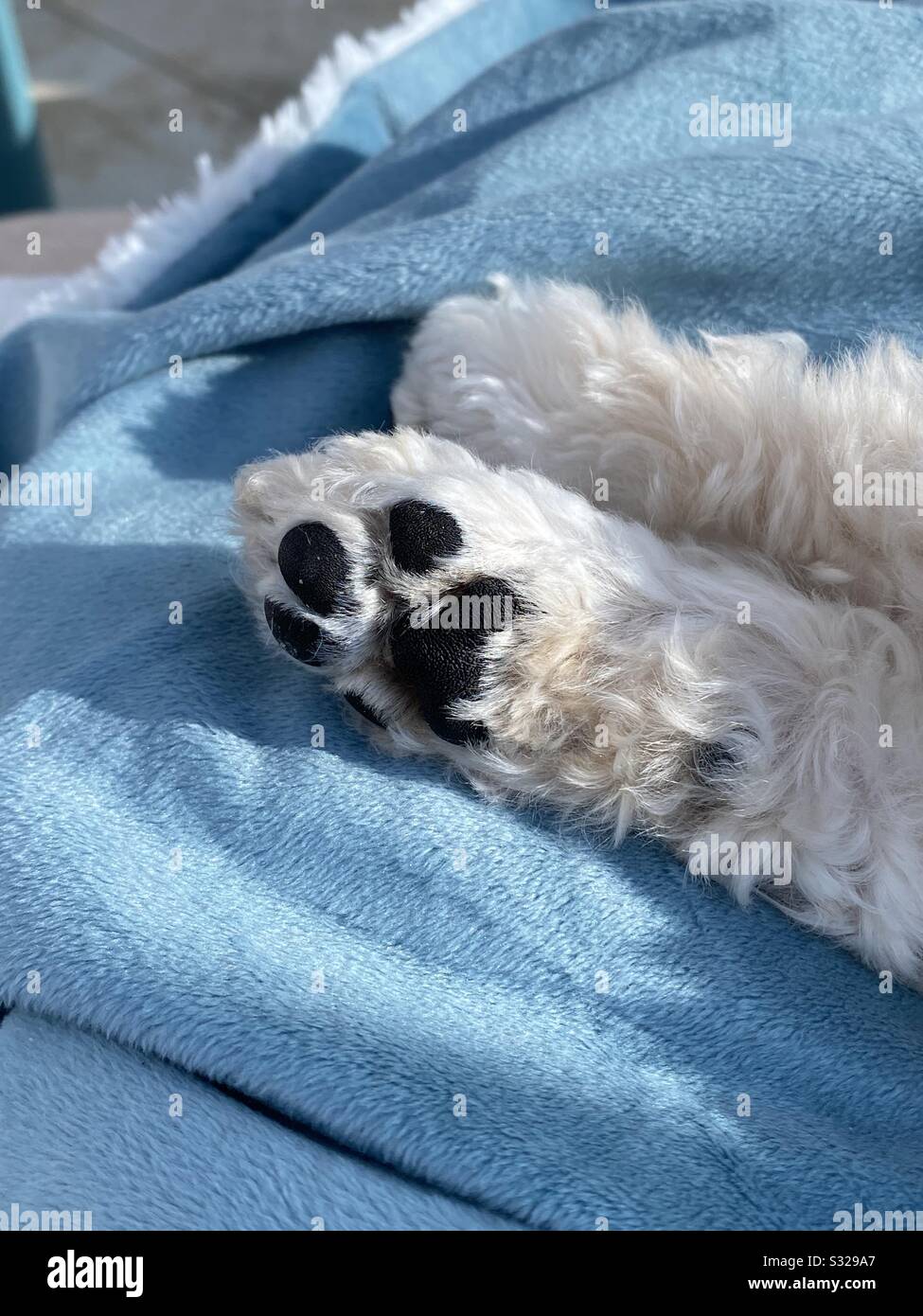 Cute feet hi-res stock photography and images - Alamy