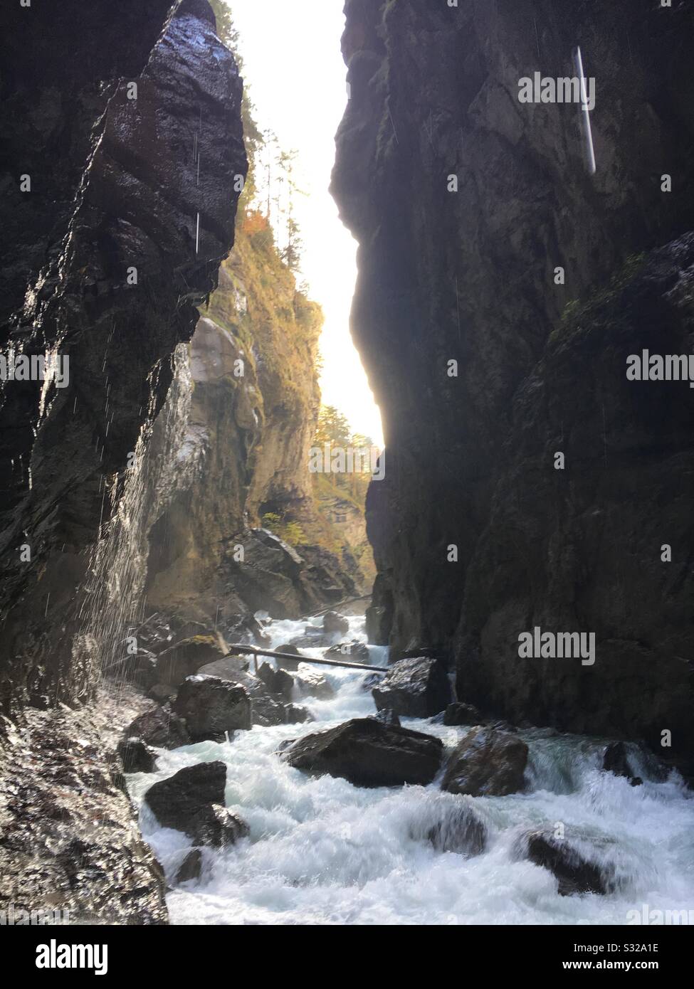 Nature at its finest Stock Photo - Alamy