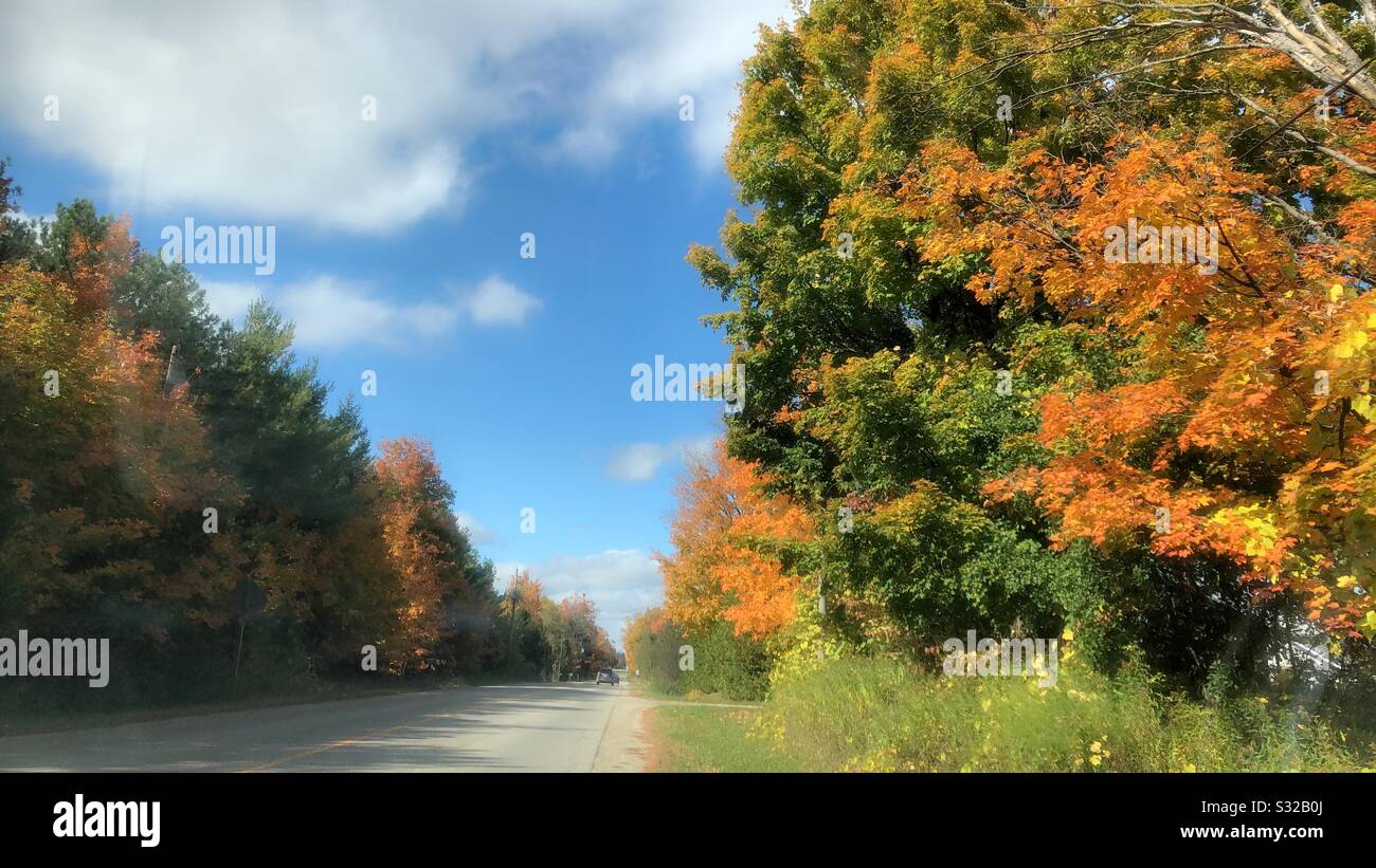 Fall and street Stock Photo - Alamy