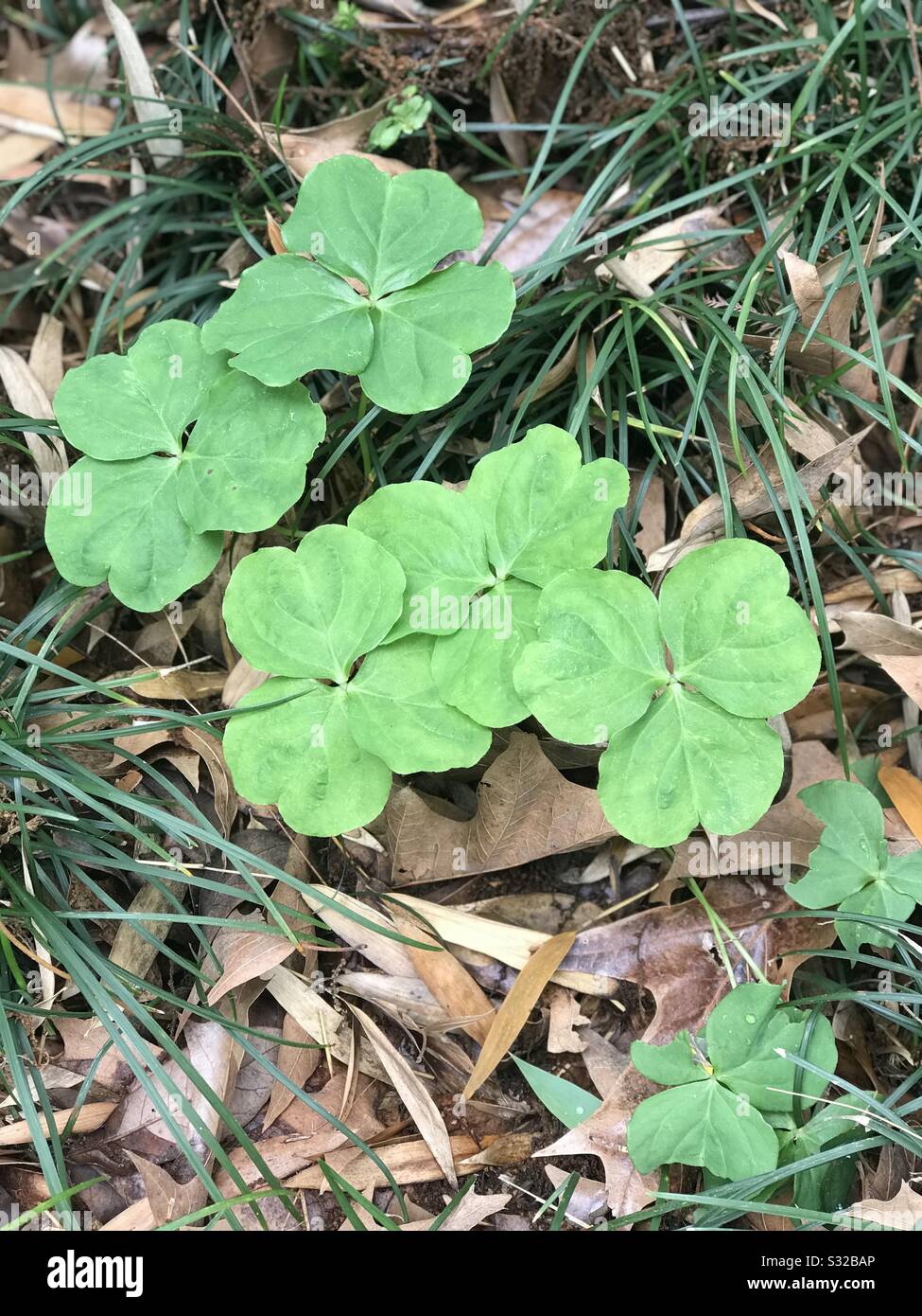 Luck day hi-res stock photography and images - Alamy