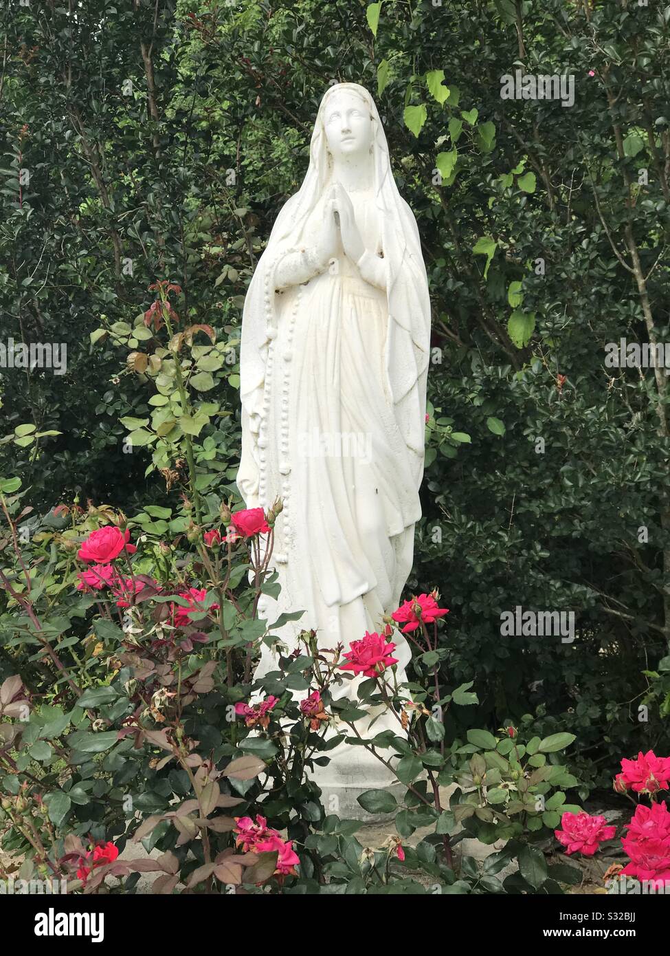 Roses mary hi-res stock photography and images - Alamy