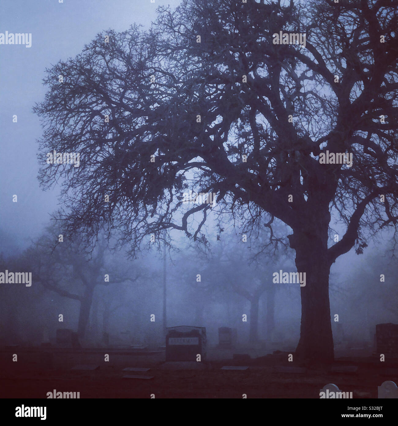 Foggy cemetery hi-res stock photography and images - Alamy