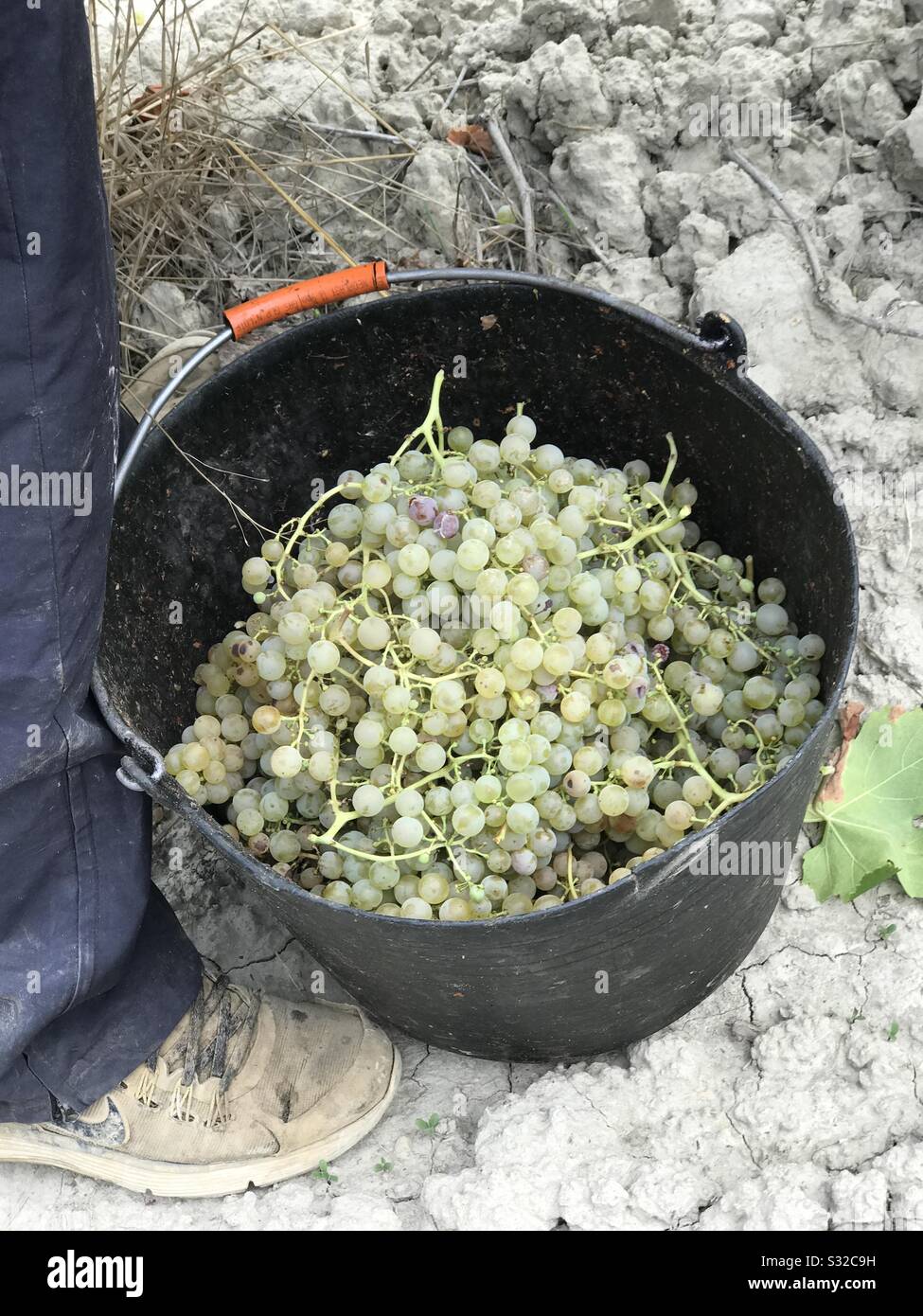 Cataluna spain hi-res stock photography and images - Alamy