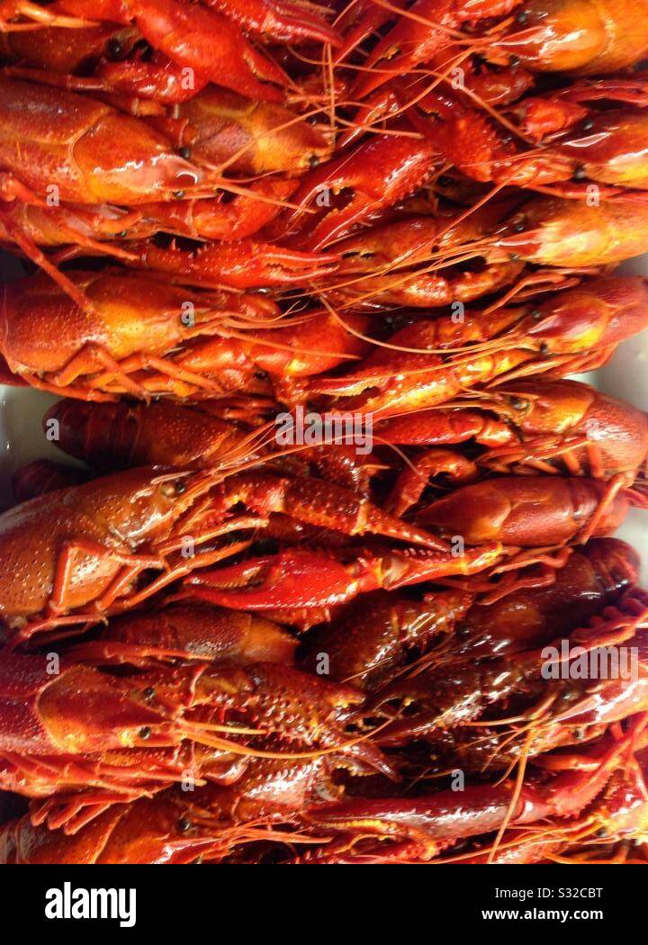 Crawfish sweden hi-res stock photography and images - Alamy