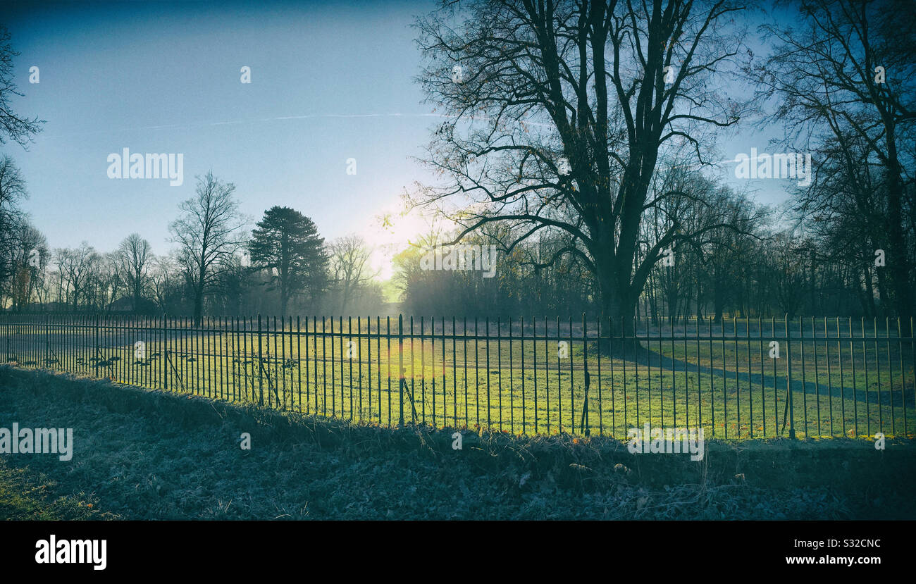Sunny park and hi-res stock photography and images - Alamy