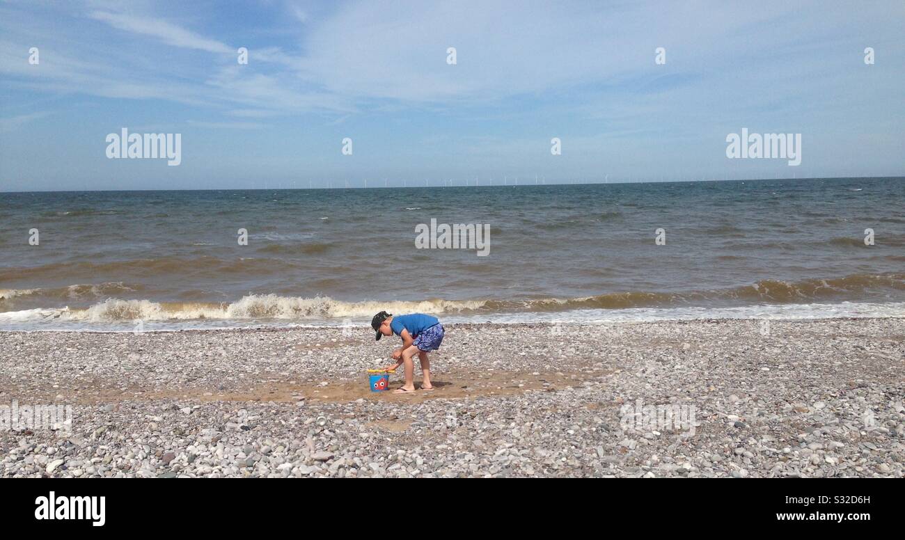 Best Beach To Collect Shells Uk at Julie Solberg blog