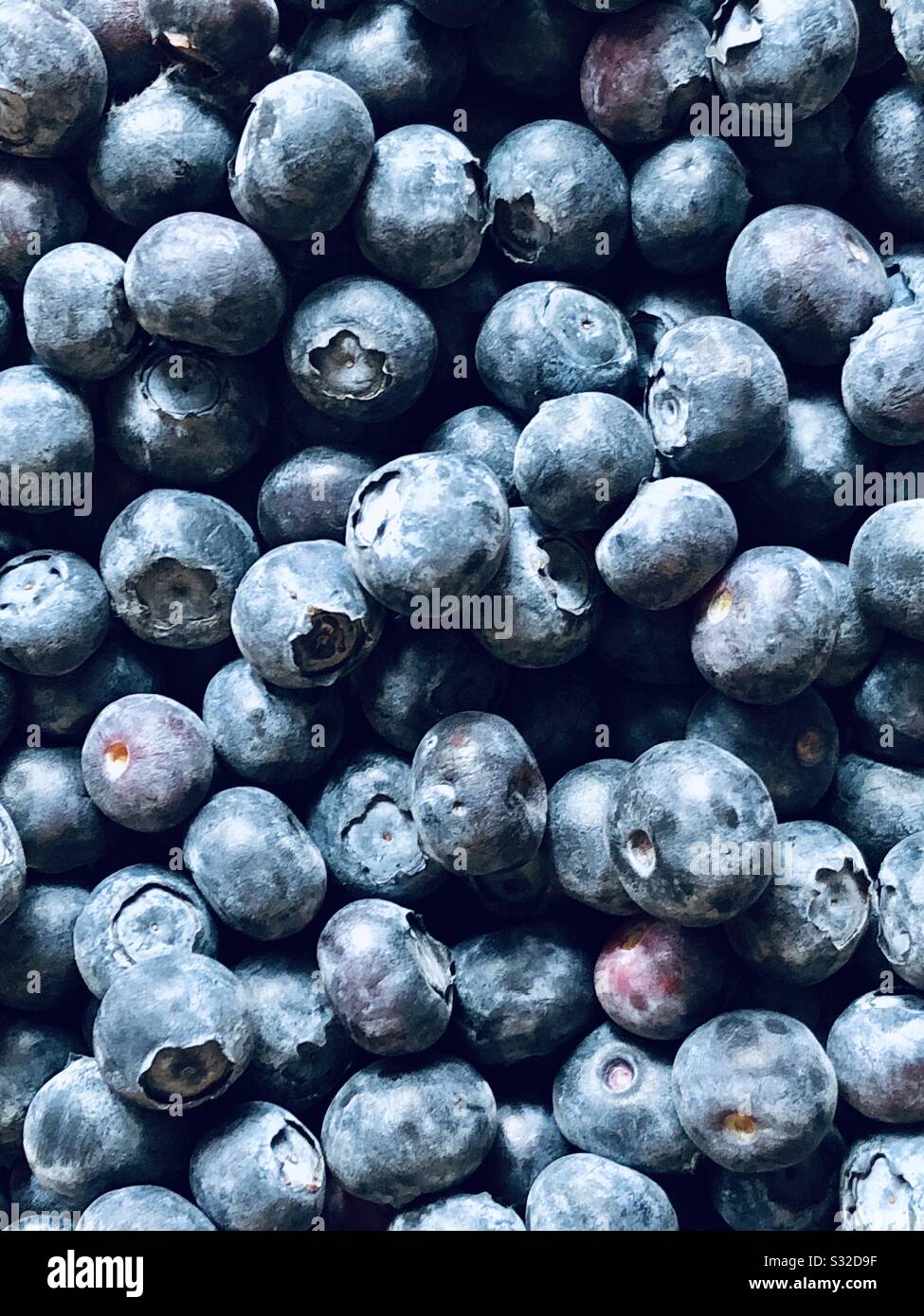 Blueberries filling the frame Stock Photo - Alamy