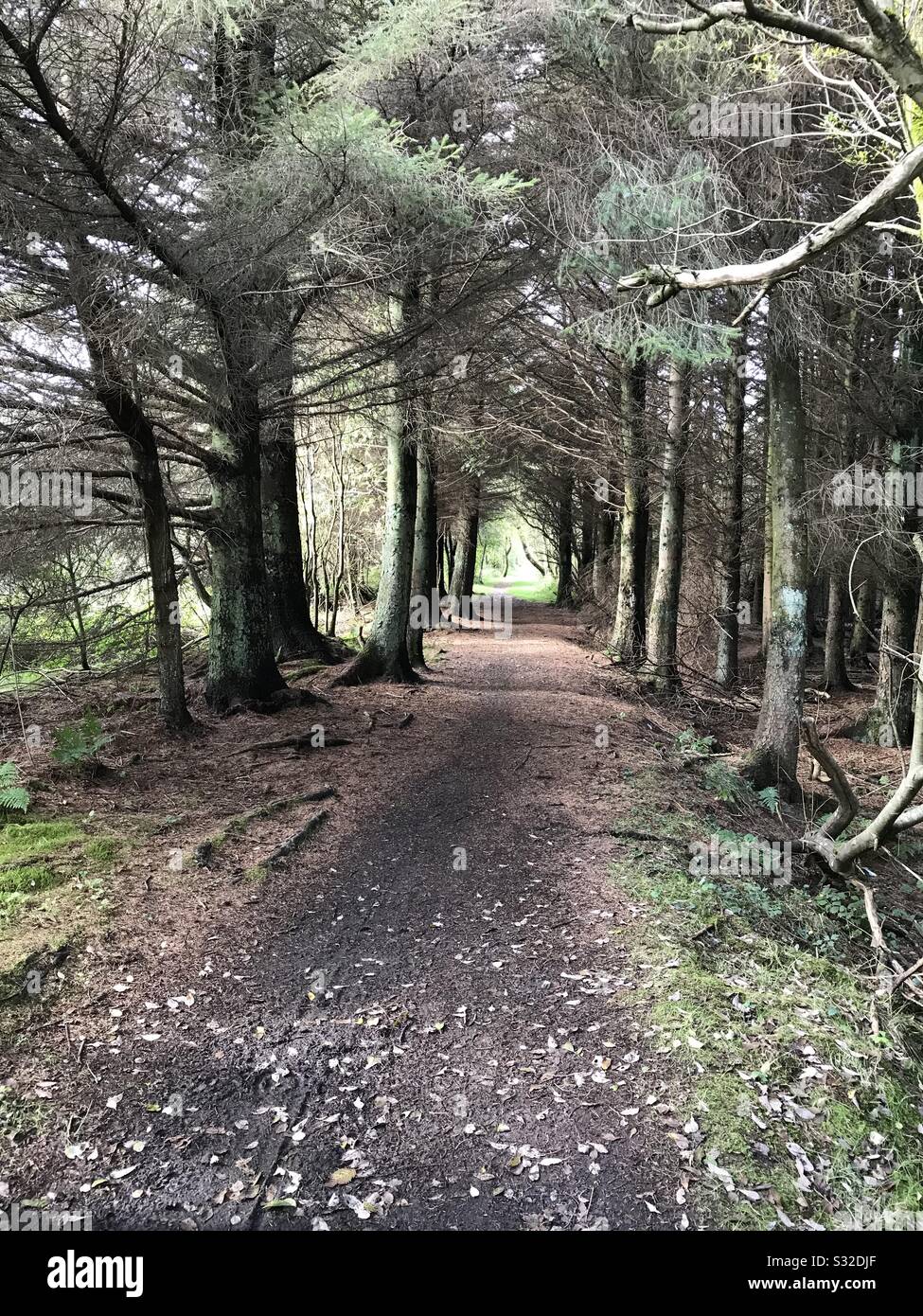 Infinity walk hi-res stock photography and images - Alamy