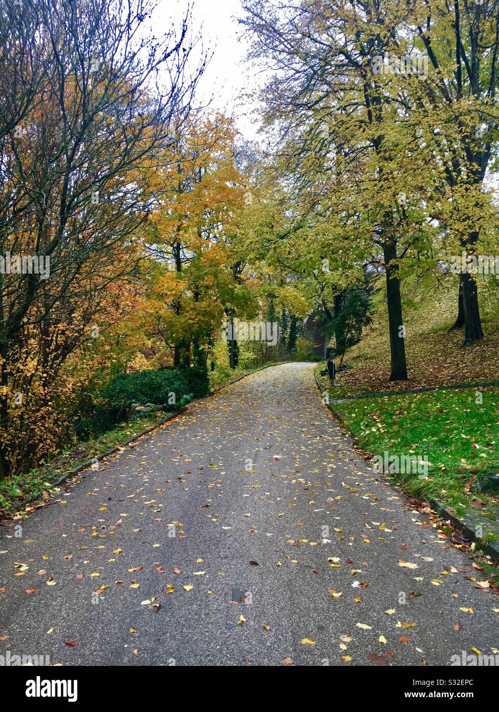 Sidewalk and nature hi-res stock photography and images - Alamy