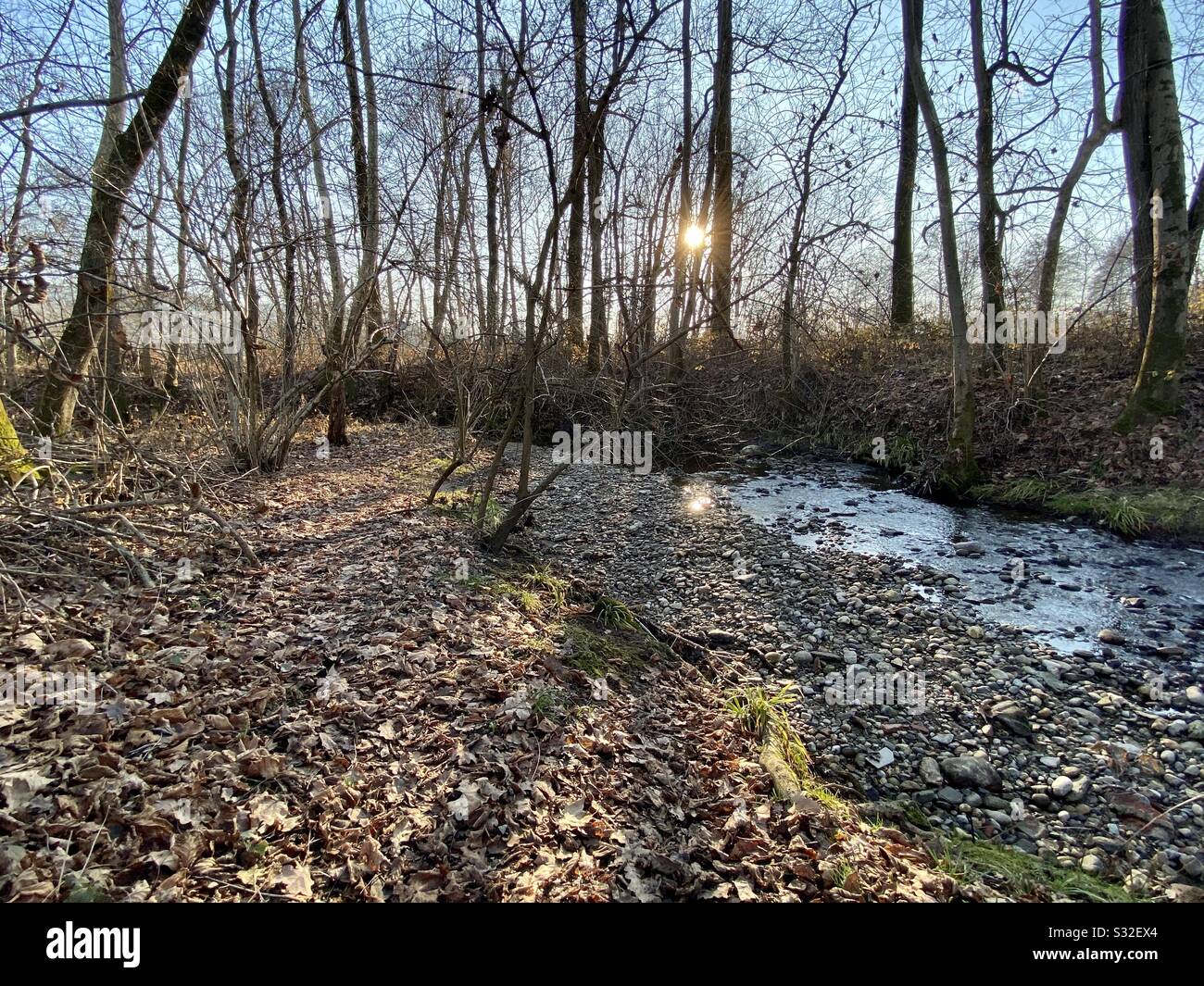 Italian swamp hi-res stock photography and images - Alamy