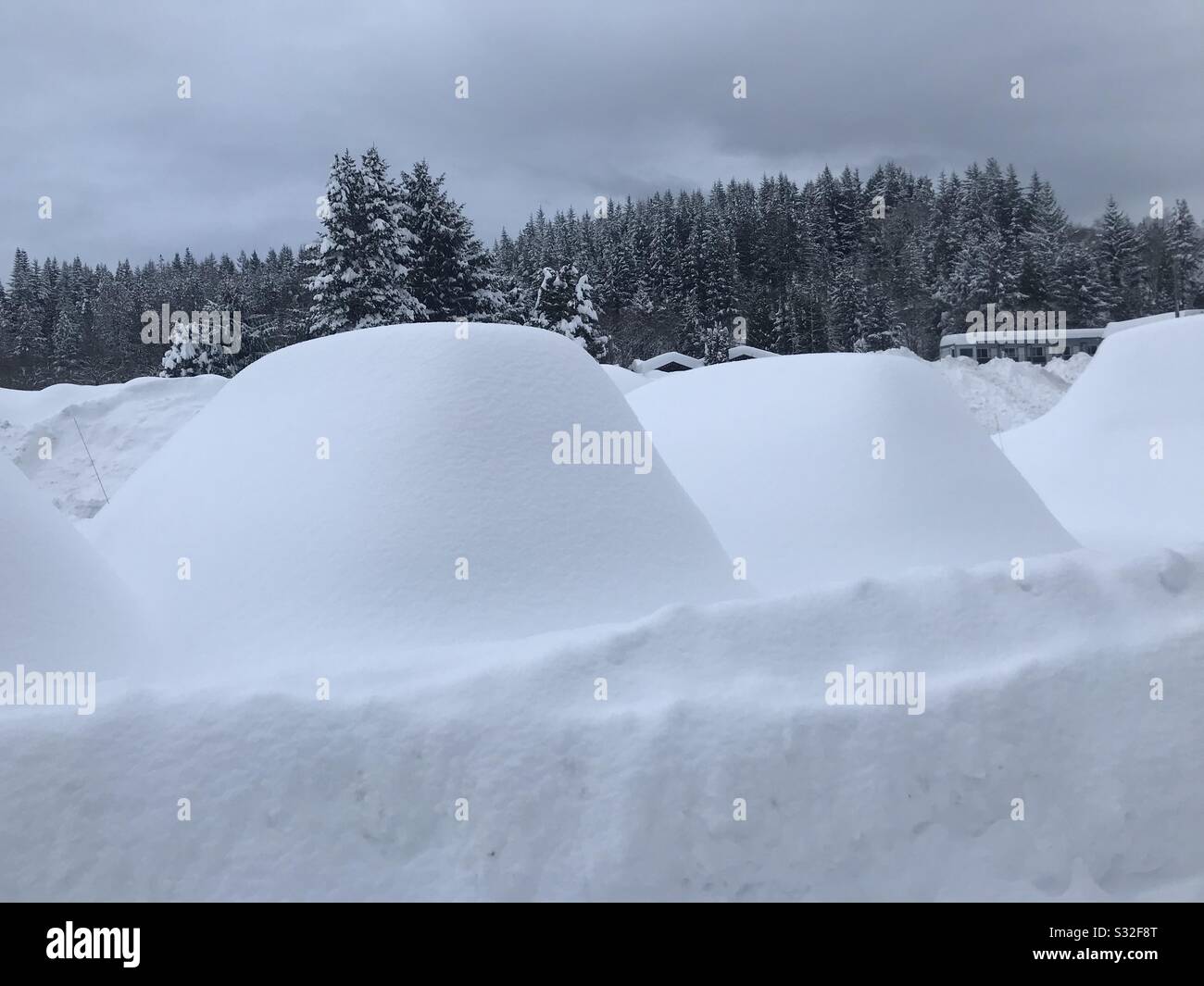 Snow White everwhere Stock Photo - Alamy
