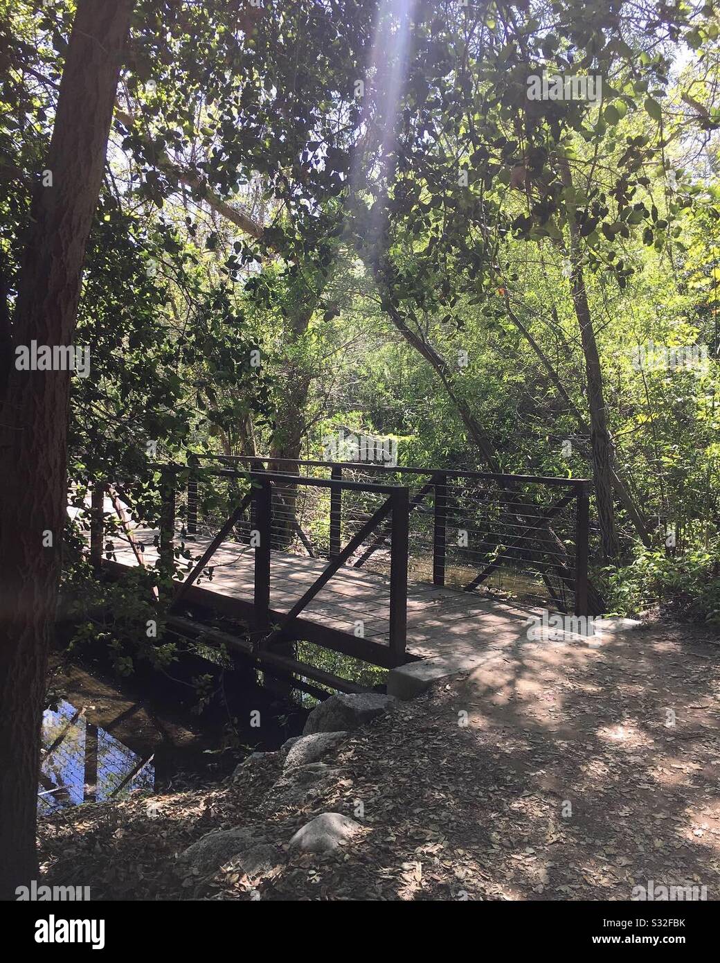 Bridge over water in woodsy scene Stock Photo - Alamy