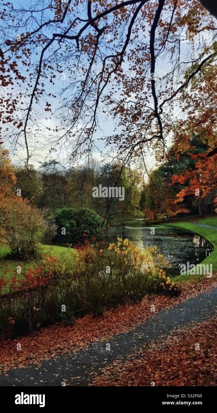 Liverpool colours hi-res stock photography and images - Alamy