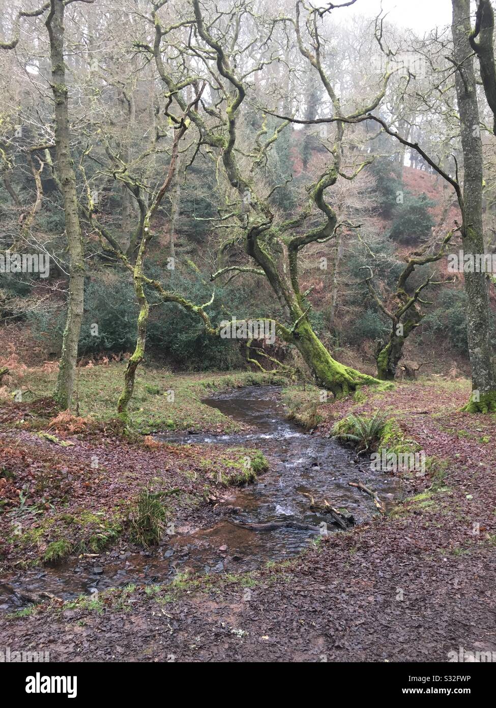 Holford hi-res stock photography and images - Alamy