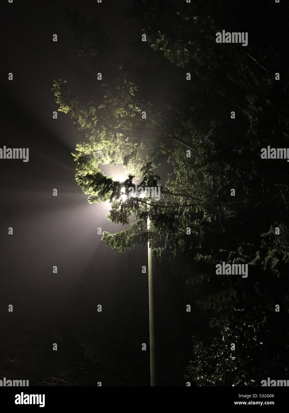 Light behind tree hi-res stock photography and images - Alamy