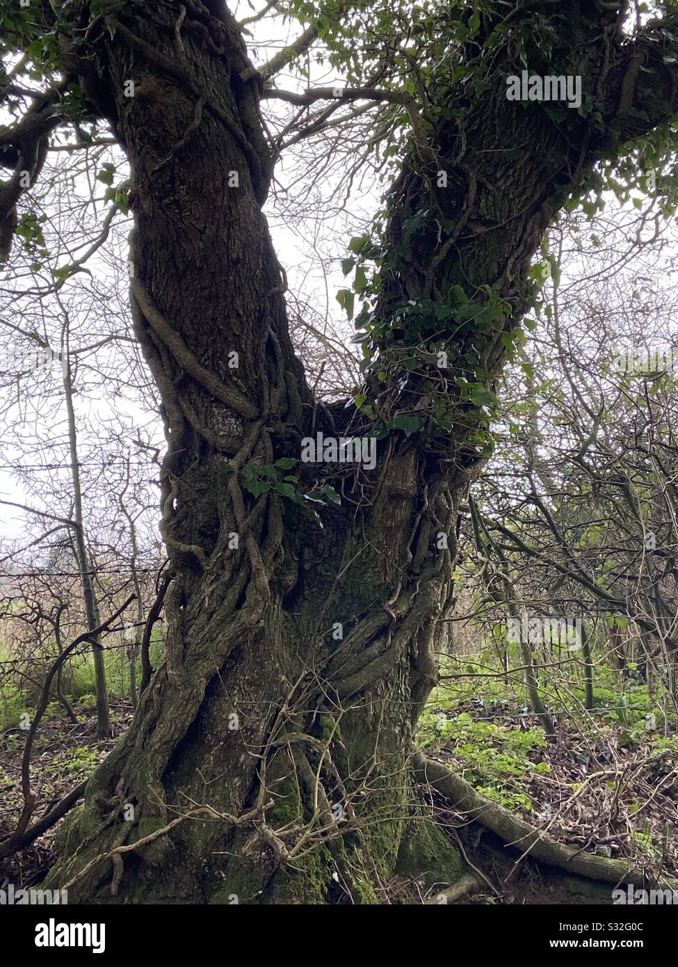 Sinister hi-res stock photography and images - Alamy