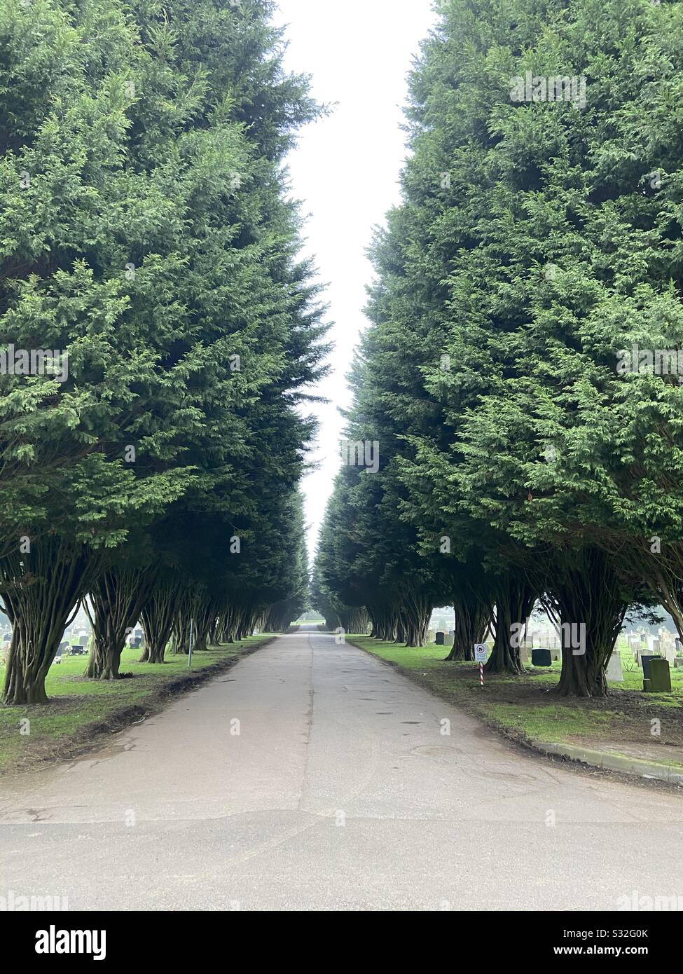 Trees by entrance hi-res stock photography and images - Alamy