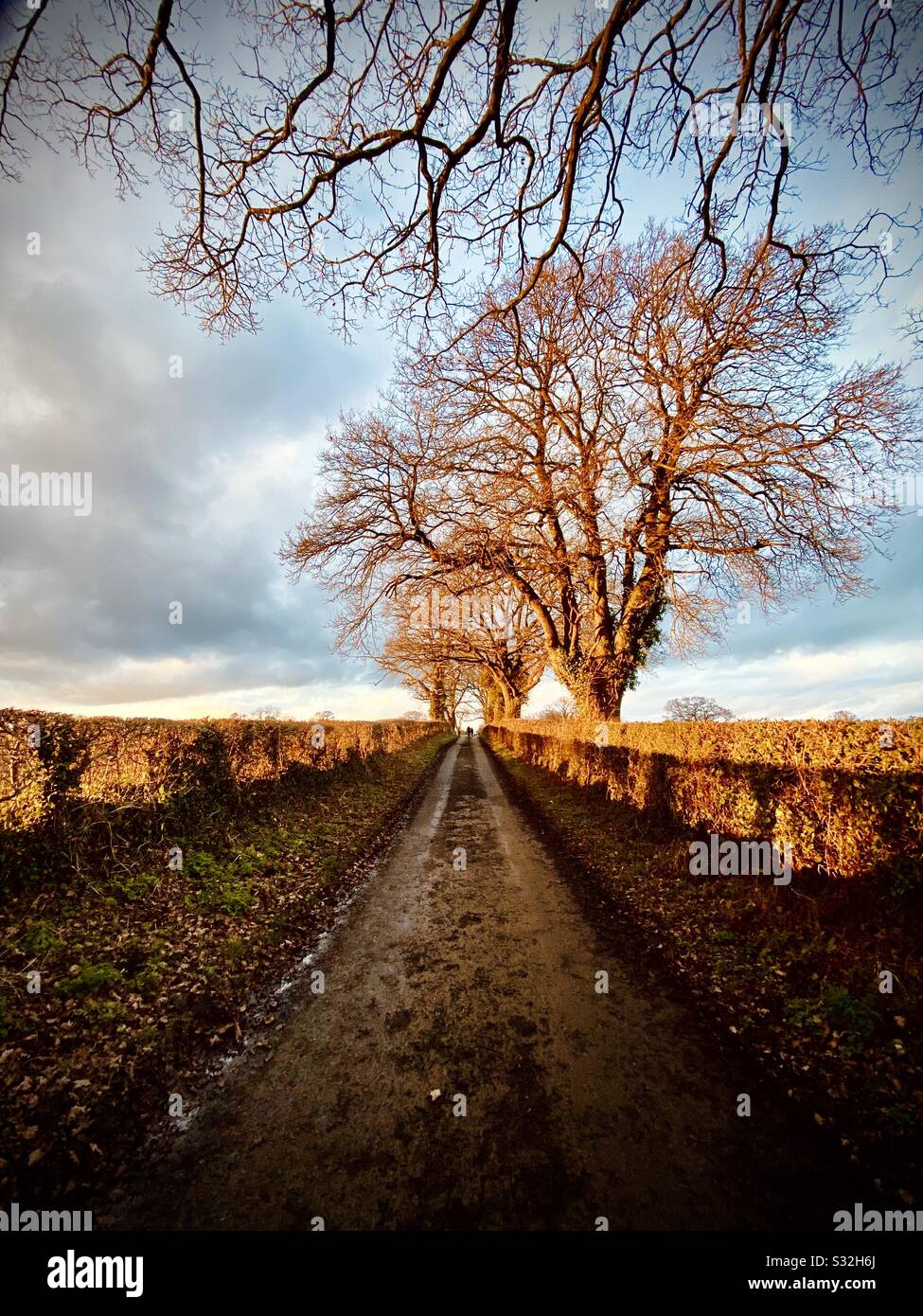 Dilwyn hi-res stock photography and images - Alamy