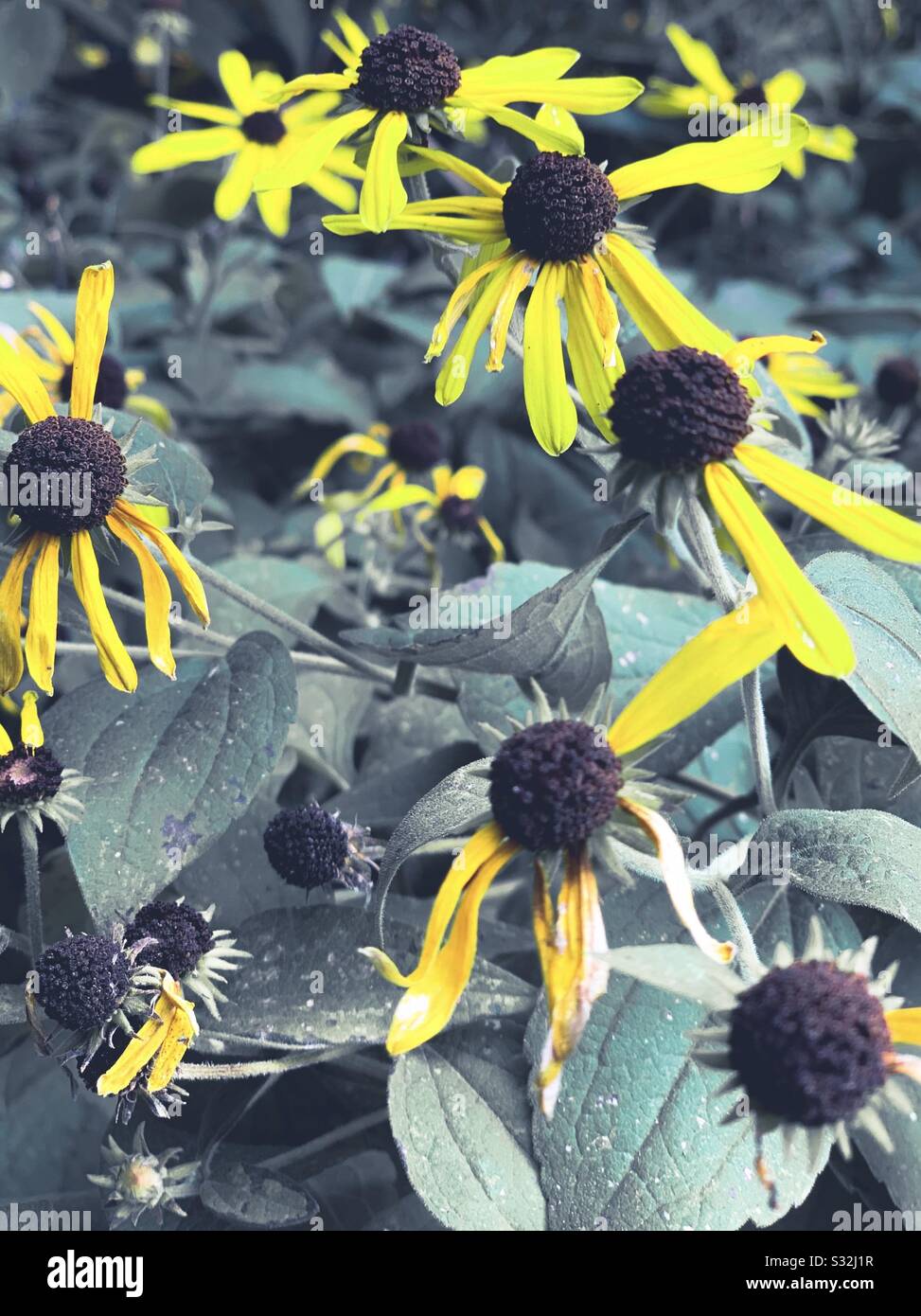 Remember to smile hi-res stock photography and images - Alamy