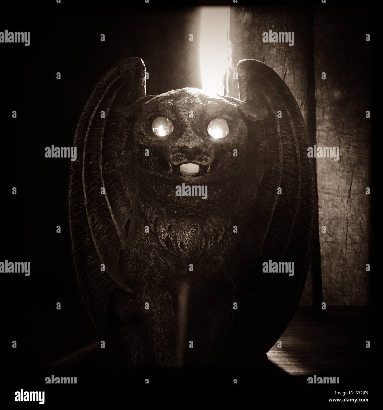 Devil cat hi-res stock photography and images - Alamy