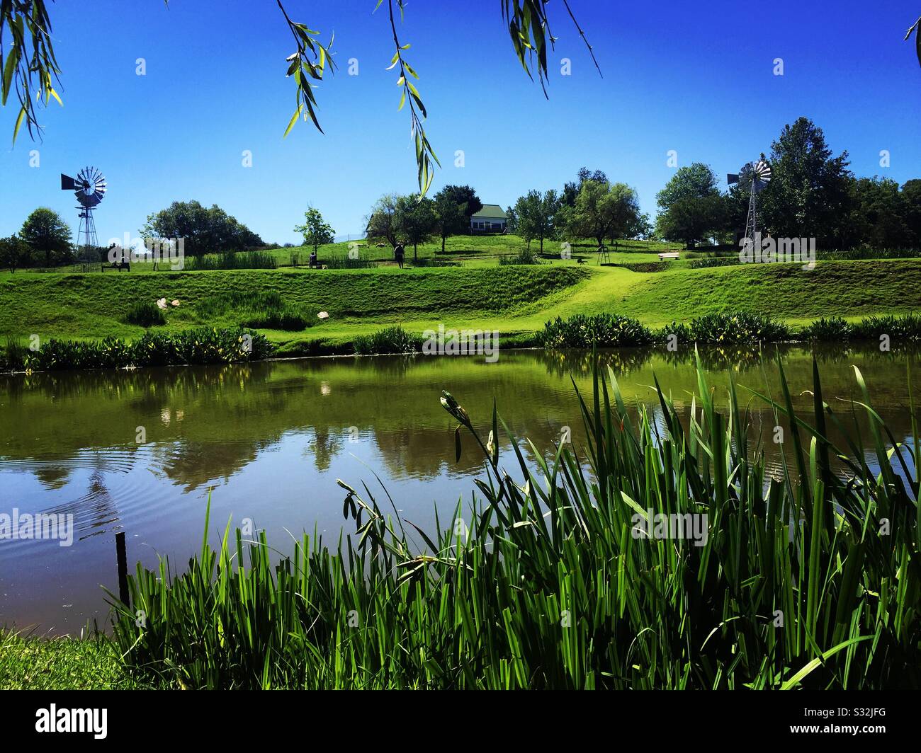 Green surroundings hi-res stock photography and images - Alamy