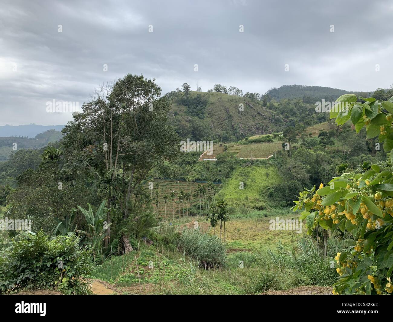 Terrace farming hi-res stock photography and images - Alamy