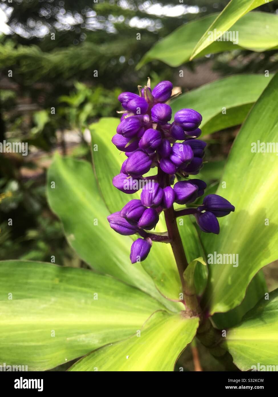 Good nature hi-res stock photography and images - Alamy