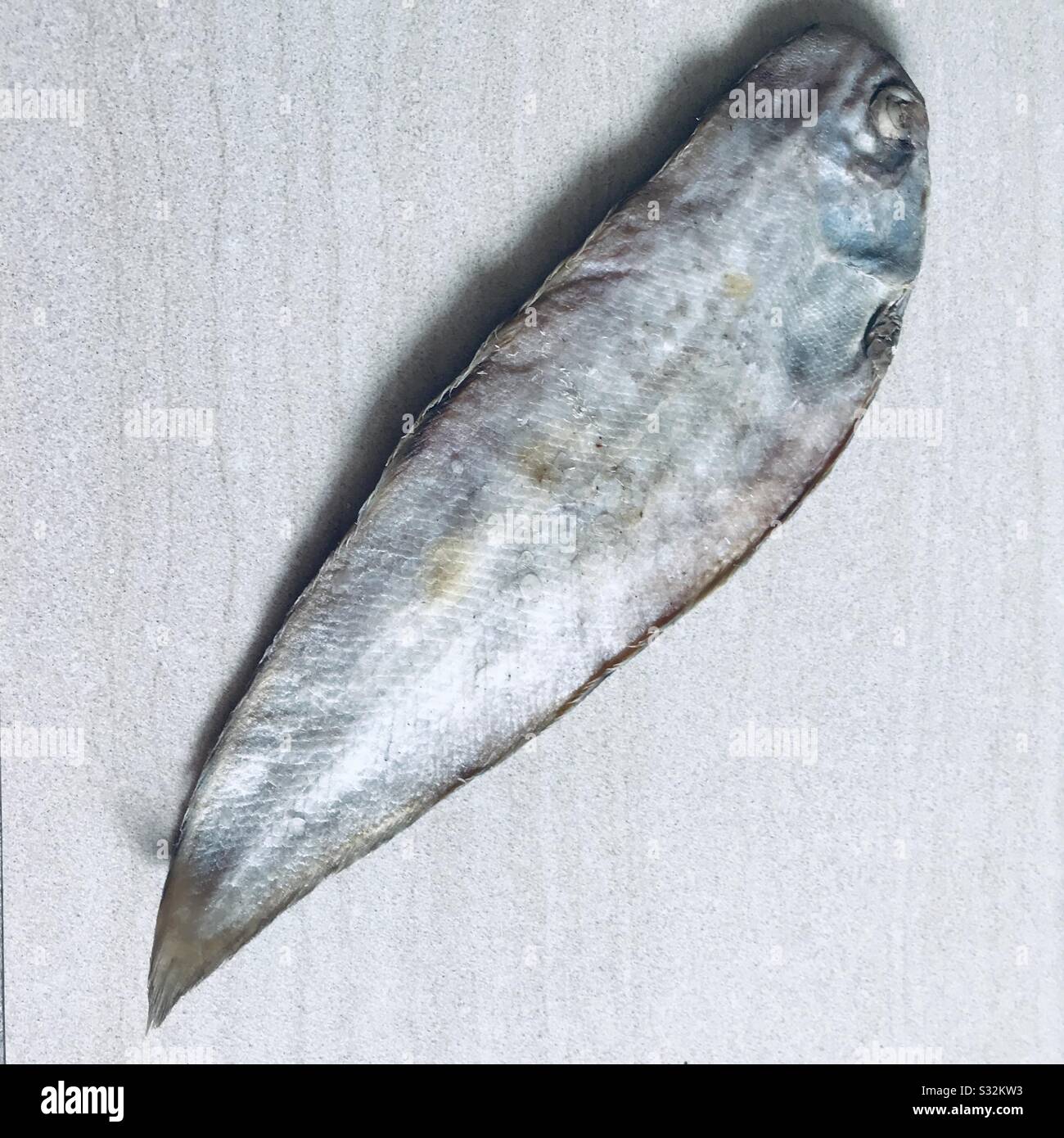 Manthal fish hi-res stock photography and images - Alamy