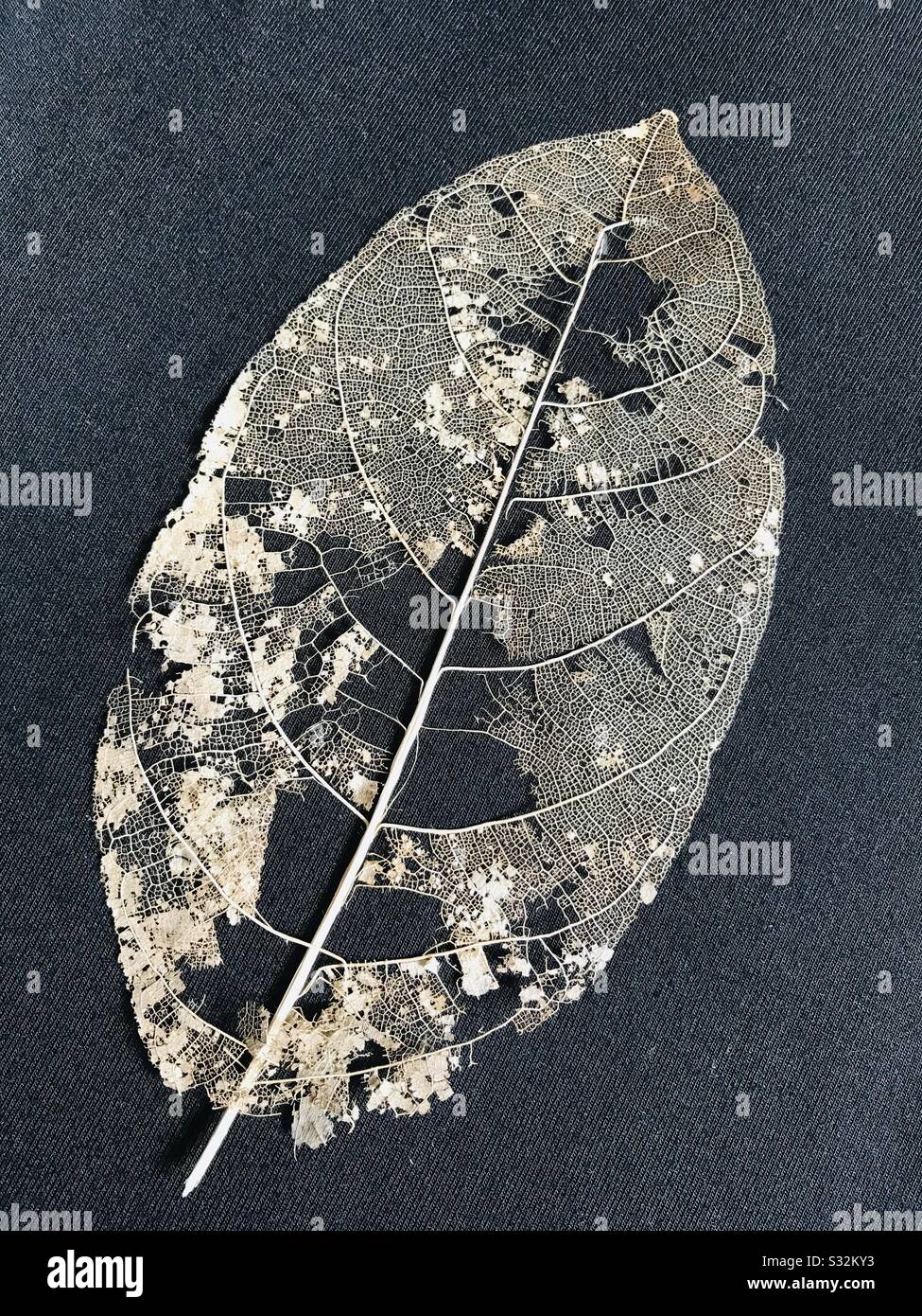 Detail original structure hi-res stock photography and images - Alamy
