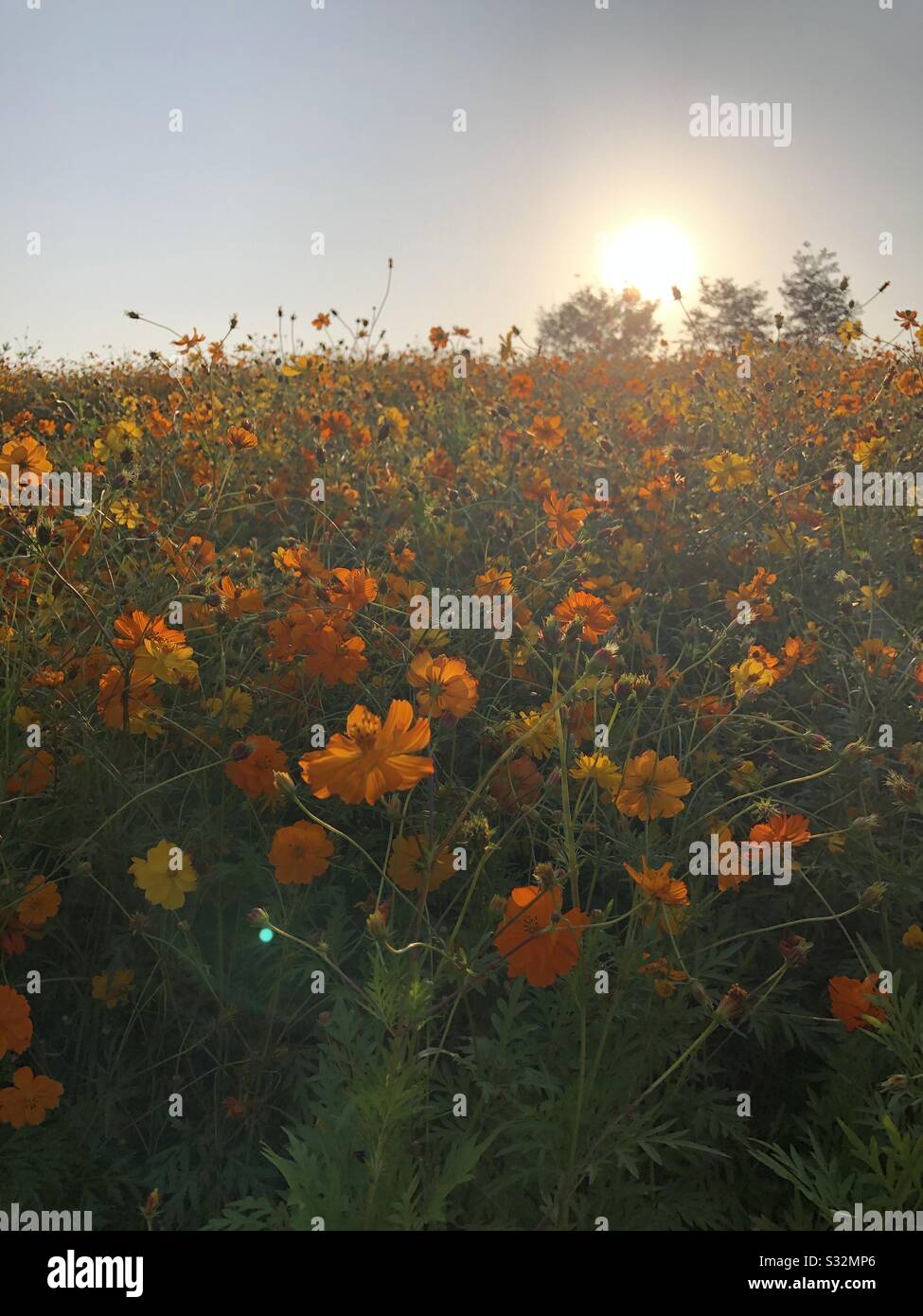 Anseong hi-res stock photography and images - Alamy