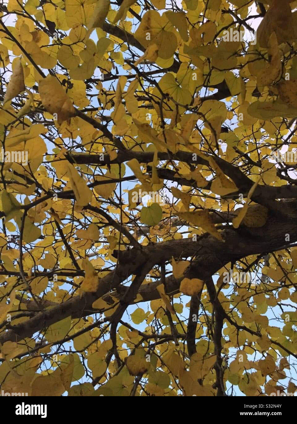 Szn hi-res stock photography and images - Alamy