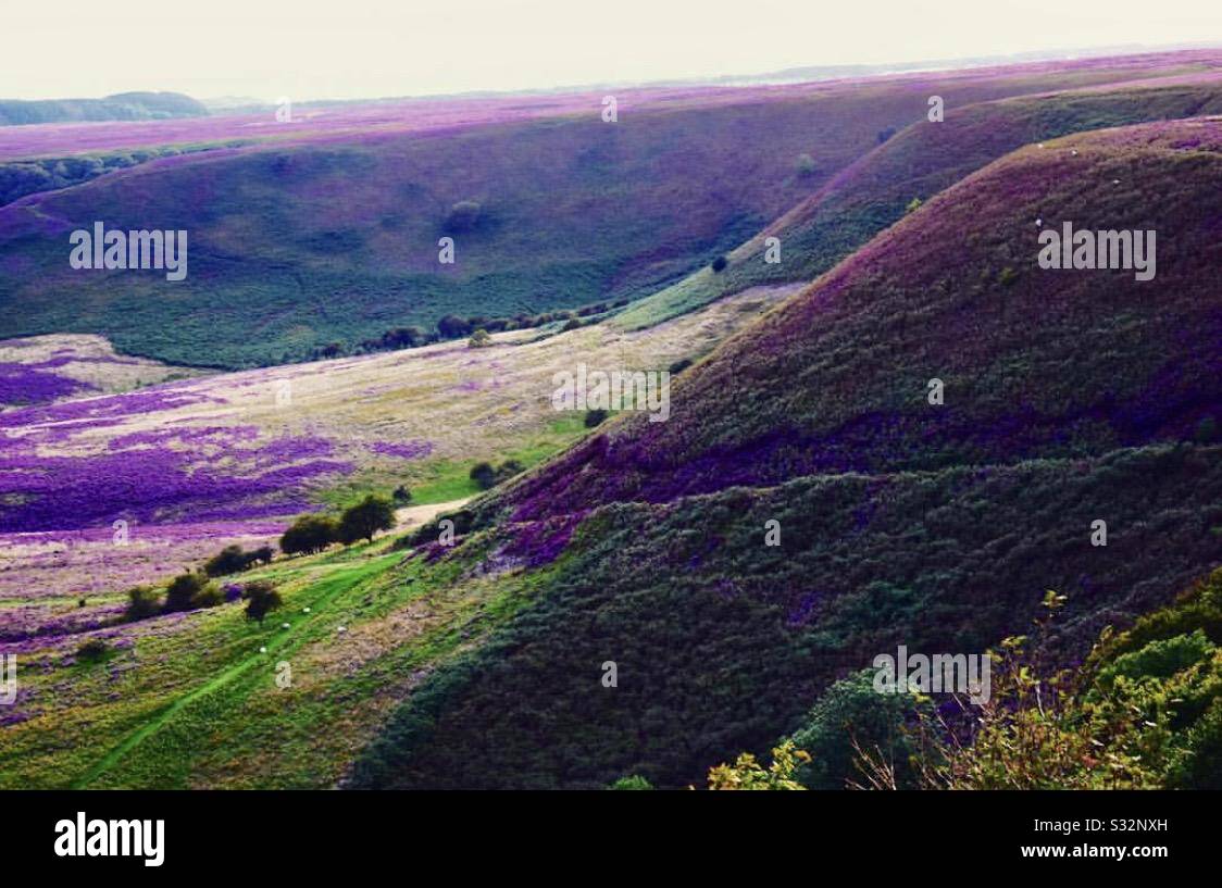 Scene moors hi-res stock photography and images - Alamy