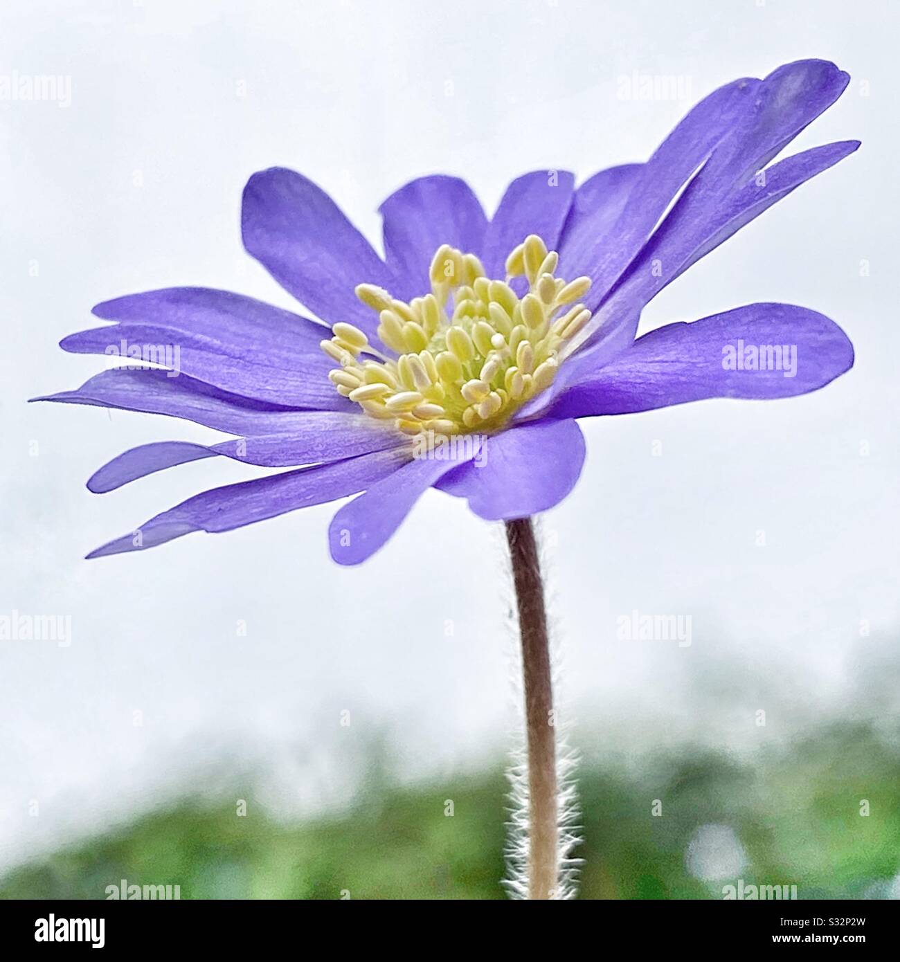 Beautiful bright colours hi-res stock photography and images - Alamy