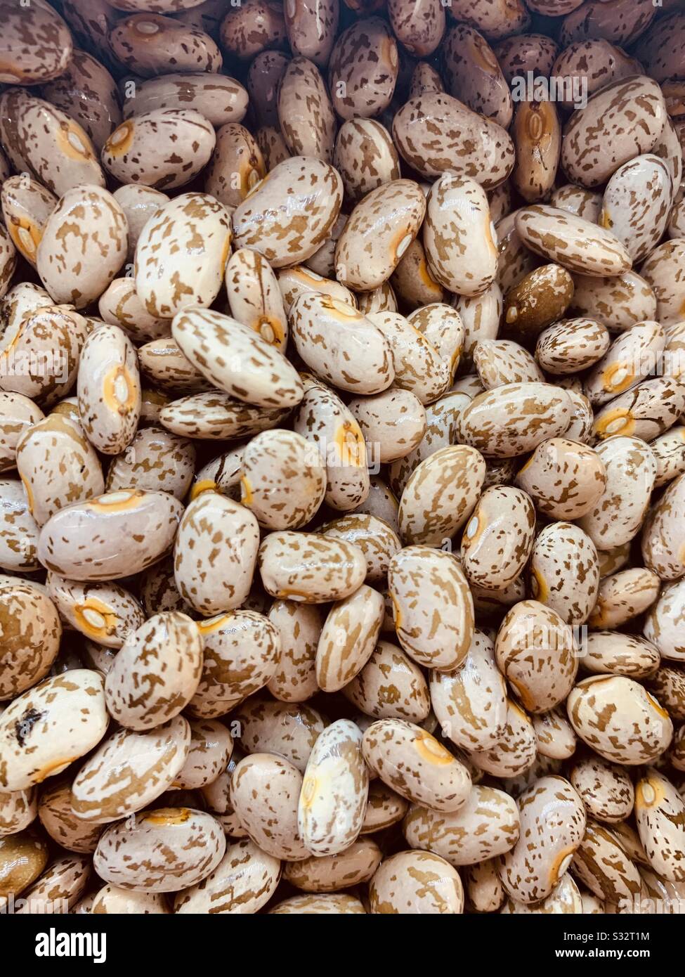 Navy beans and pinto beans hi-res stock photography and images - Alamy
