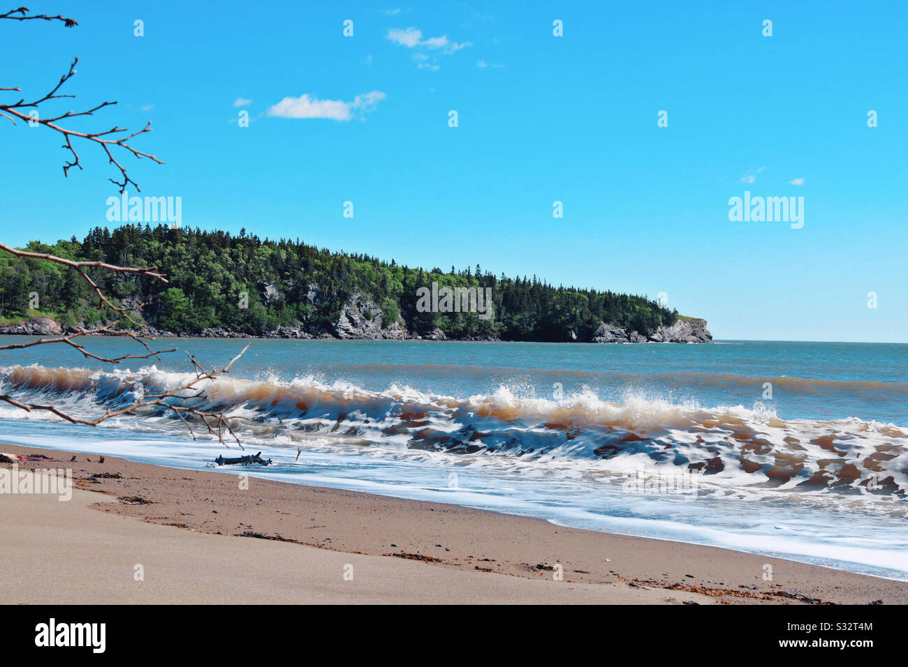 Explore nb hi-res stock photography and images - Alamy