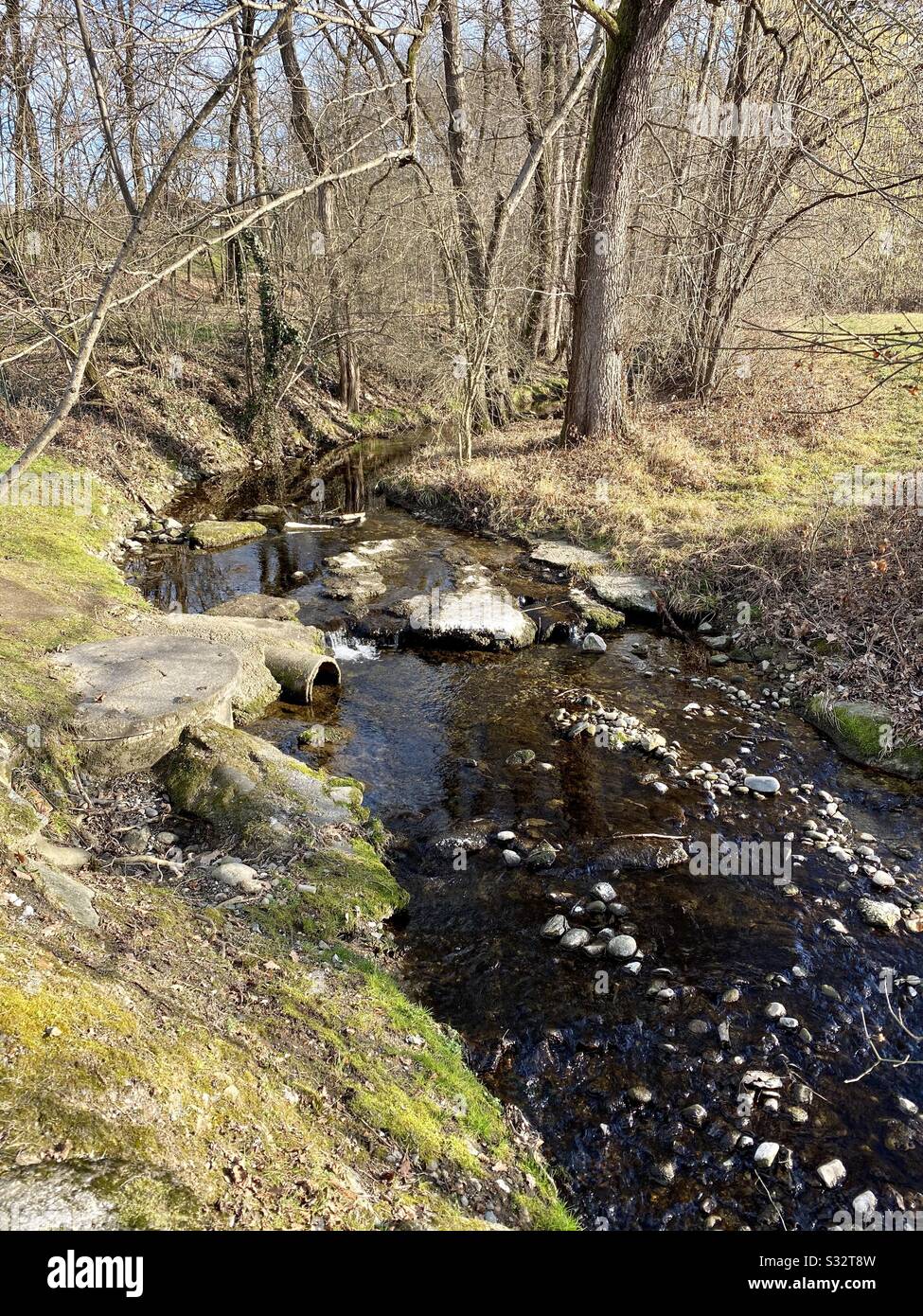 Swamp area hi-res stock photography and images - Alamy