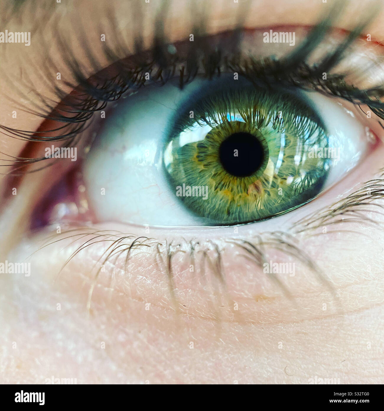 Using a macro lens hi-res stock photography and images - Alamy