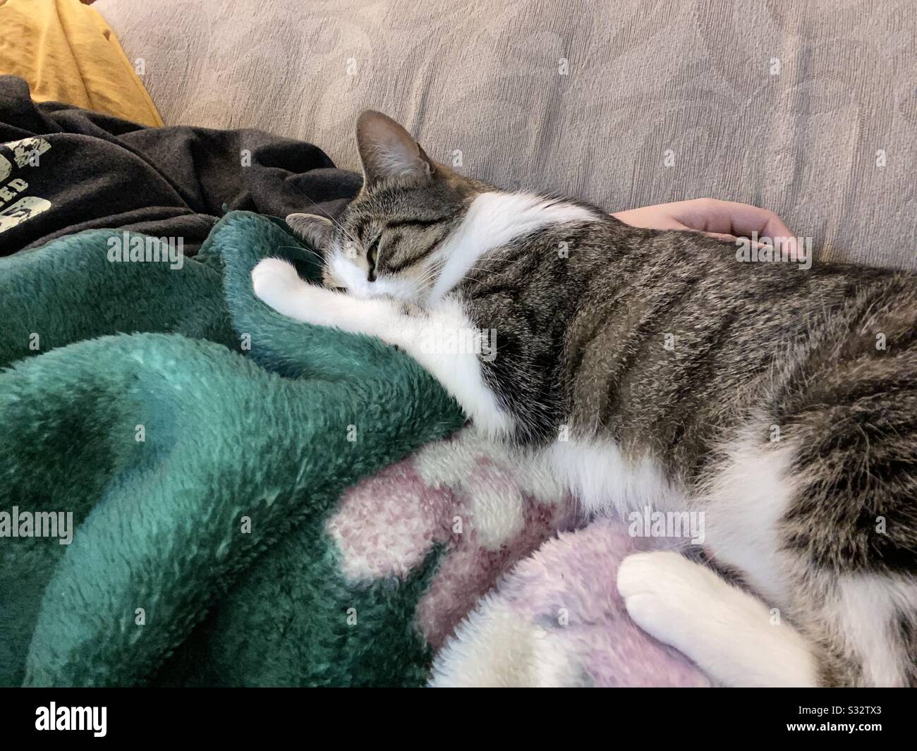 Awh High Resolution Stock Photography and Images - Alamy