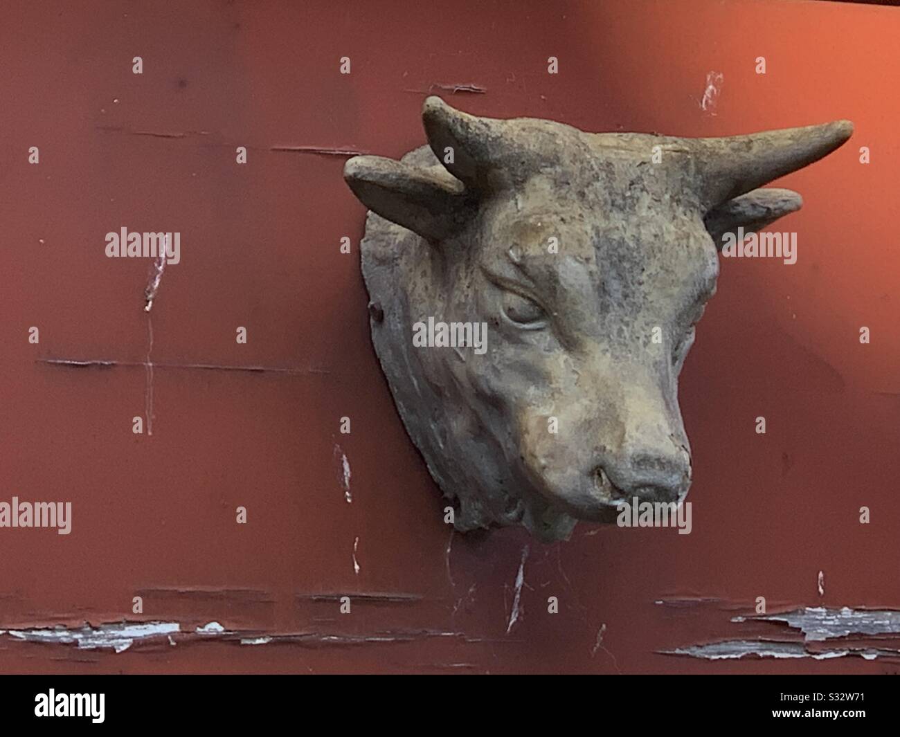 Cows head hi-res stock photography and images - Alamy